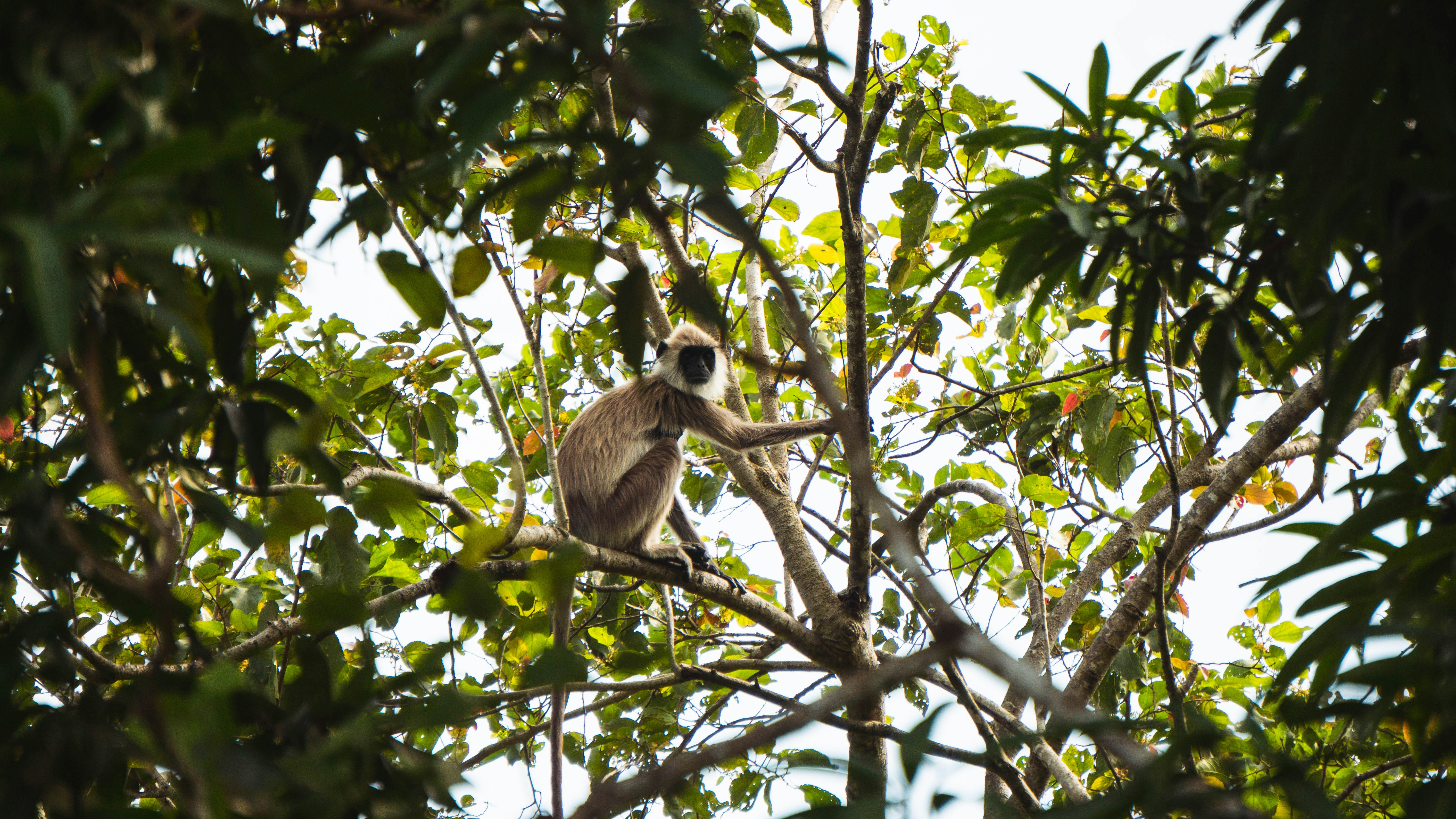 Photo by Anastasiia Malai with Sony Alpha 6000