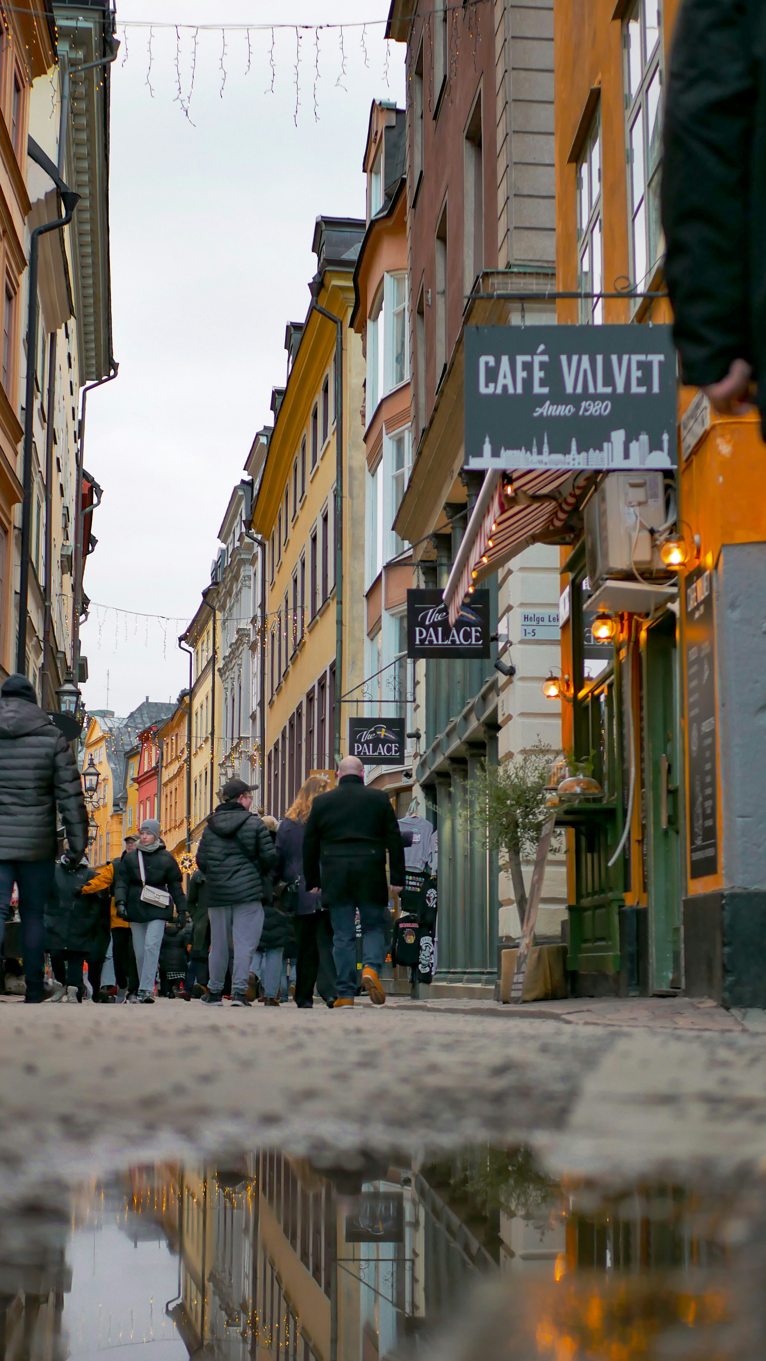 Cobbled Street Gathering Under a Cascade of Festive Lights