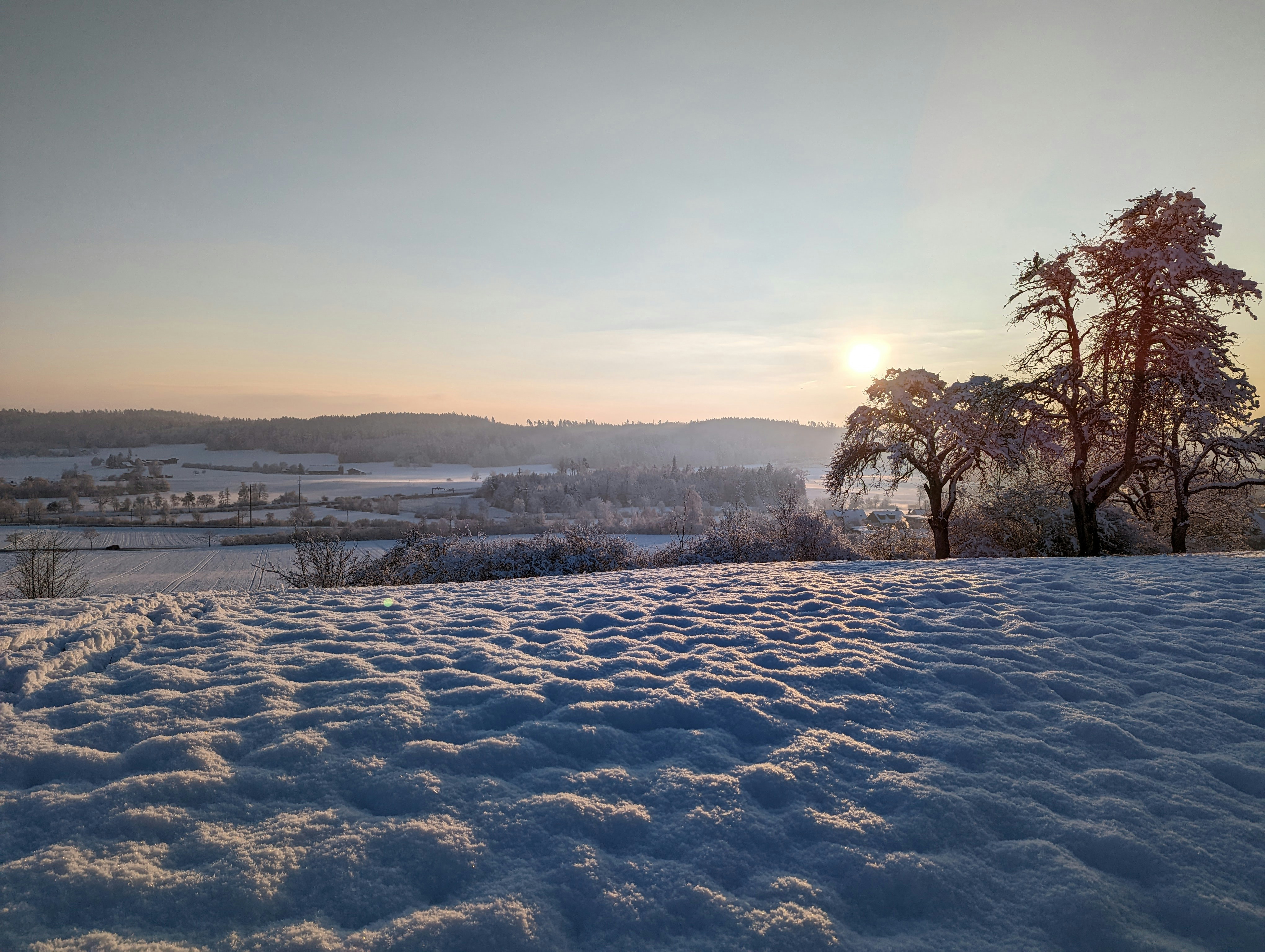 A snow covered hill with a tree in the foreground photo – Free ...