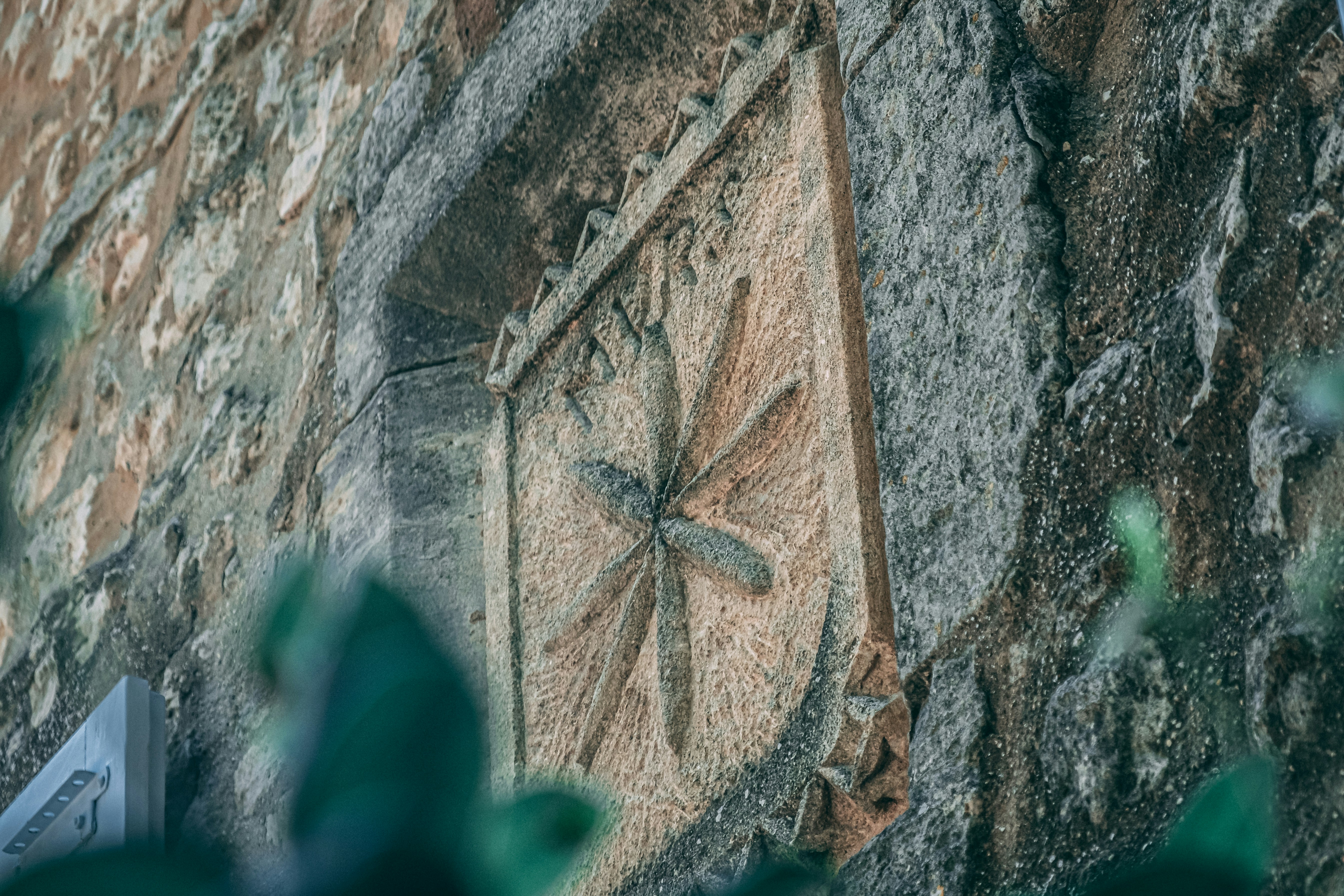 Carved stone emblem on weathered wall framed by overhanging greenery