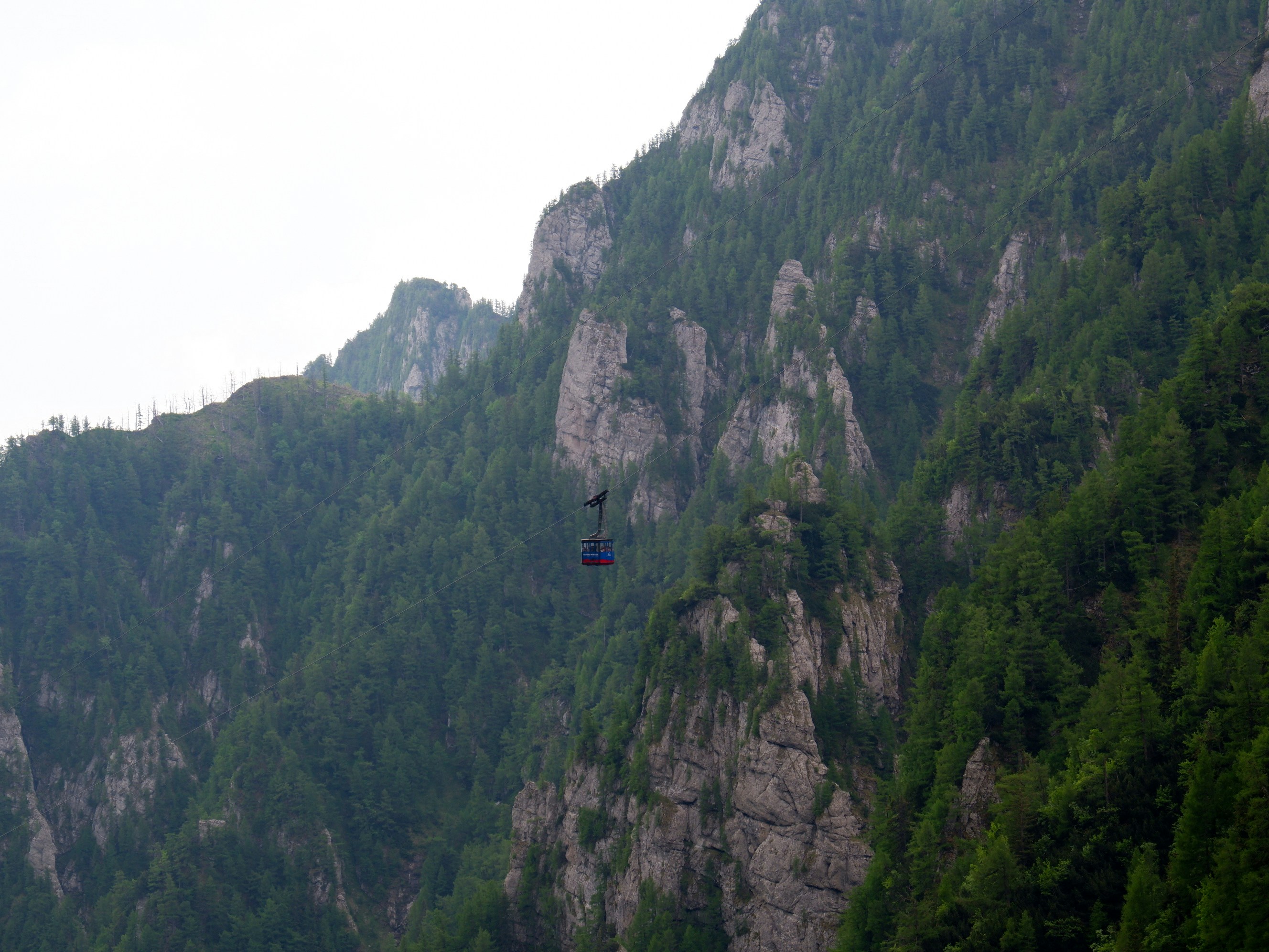Tilted Summit: A Cable Car Grooves Through Rocky Pines