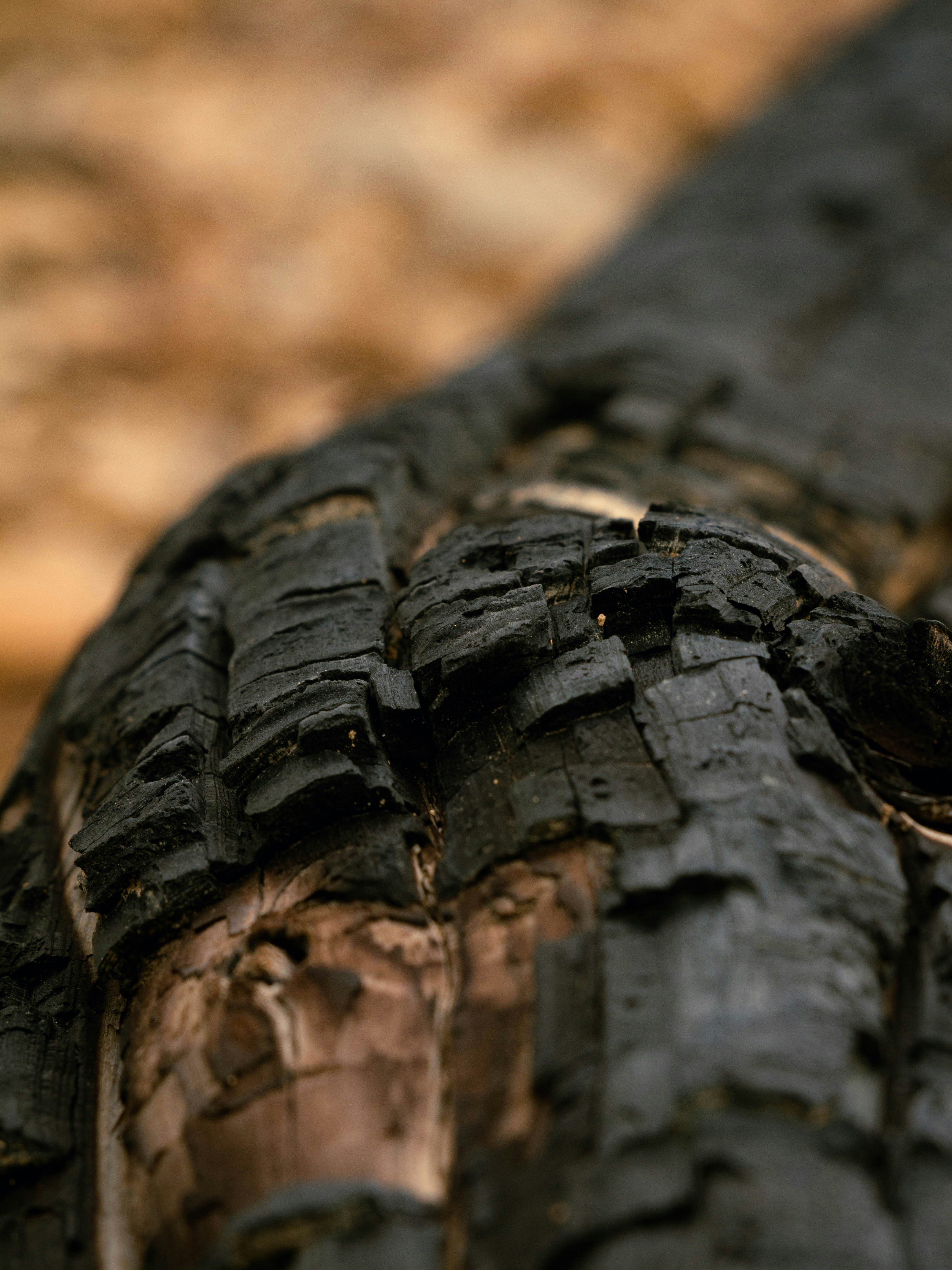 Photo by Thomas Marquize with Canon EOS 650D