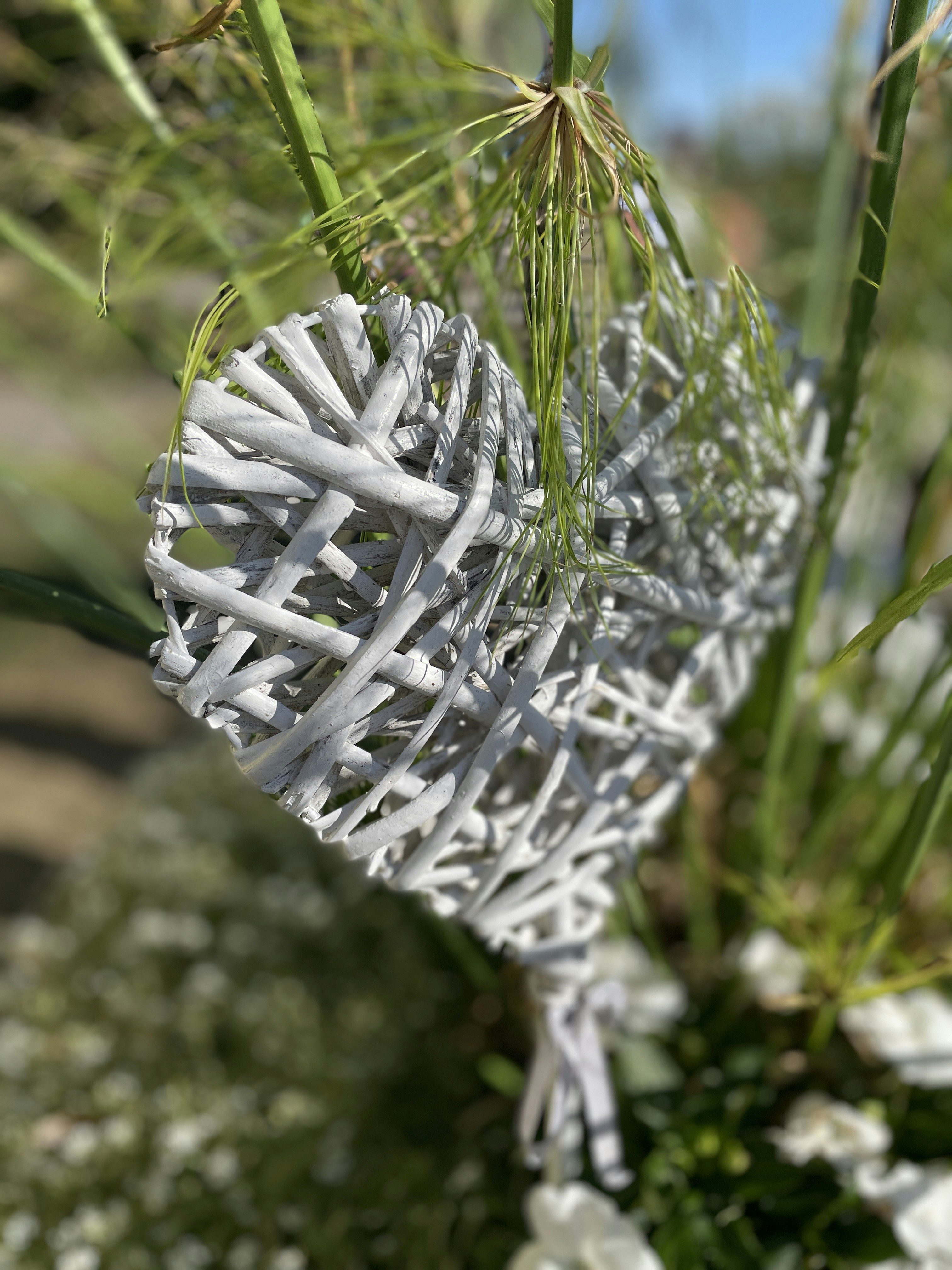 Weaving White: a delicate botanical sphere among green threads