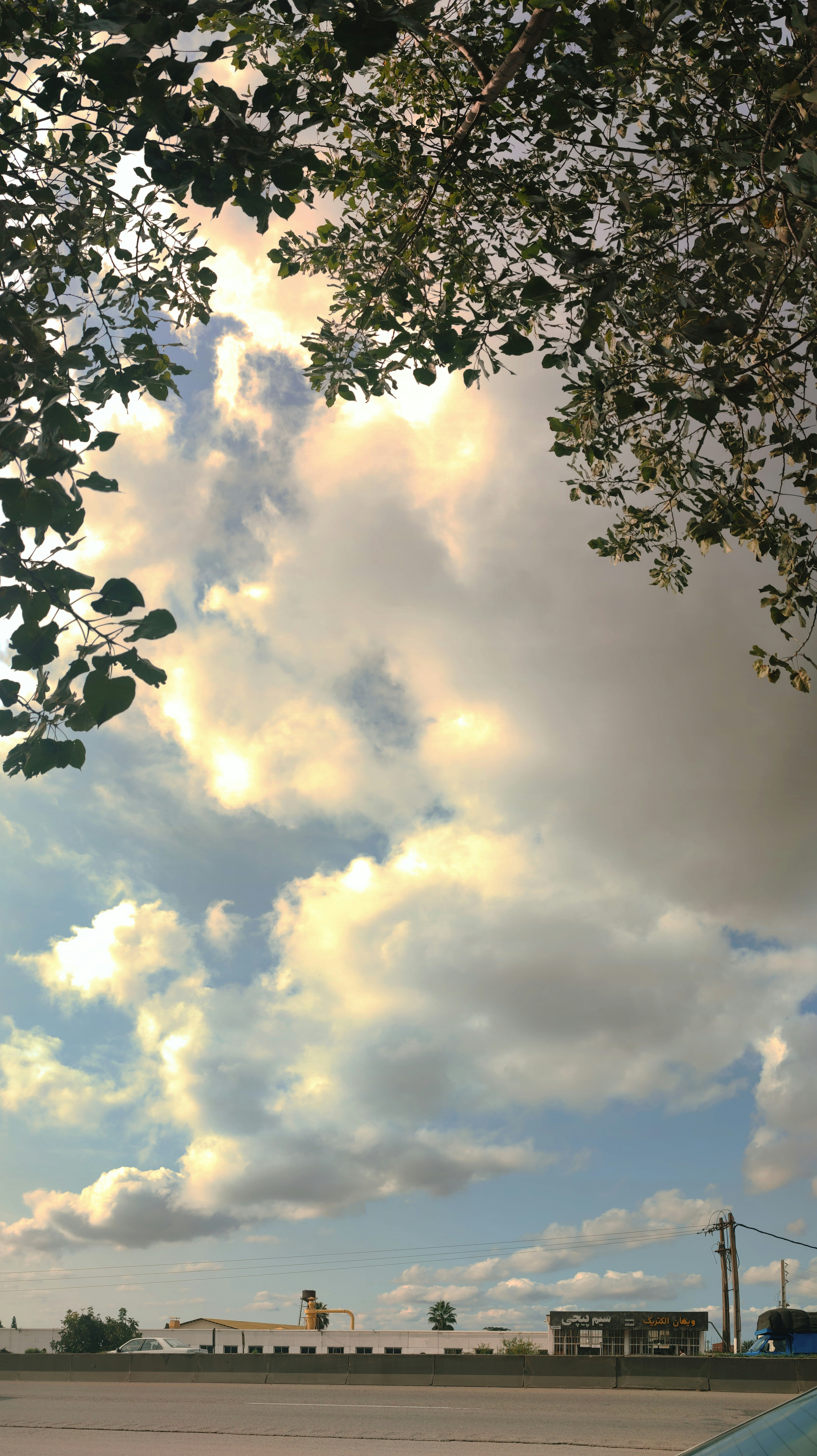 500+ Beautiful Things Pictures | Download Free Images on Unsplash