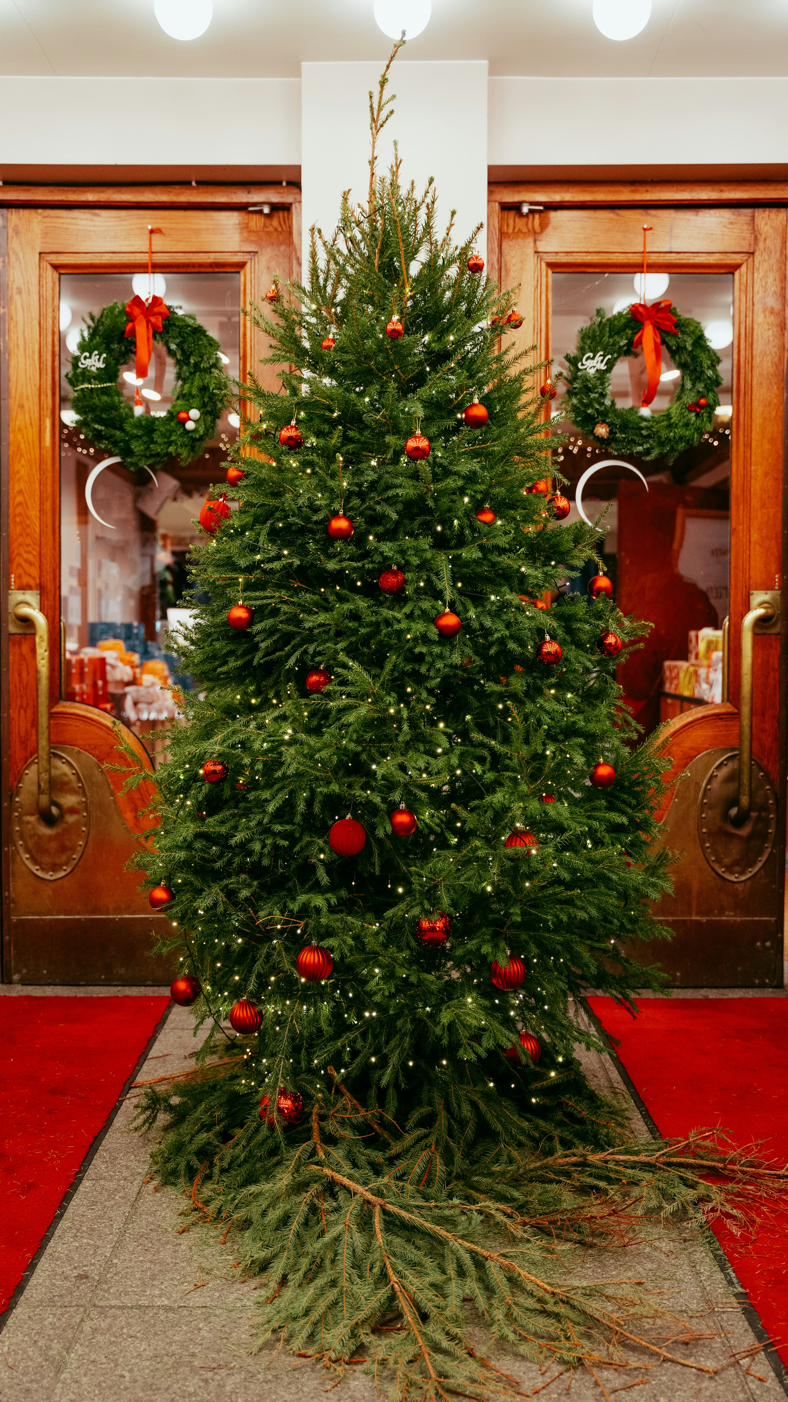 Central Christmas Tree Framed by Wreathed Doors