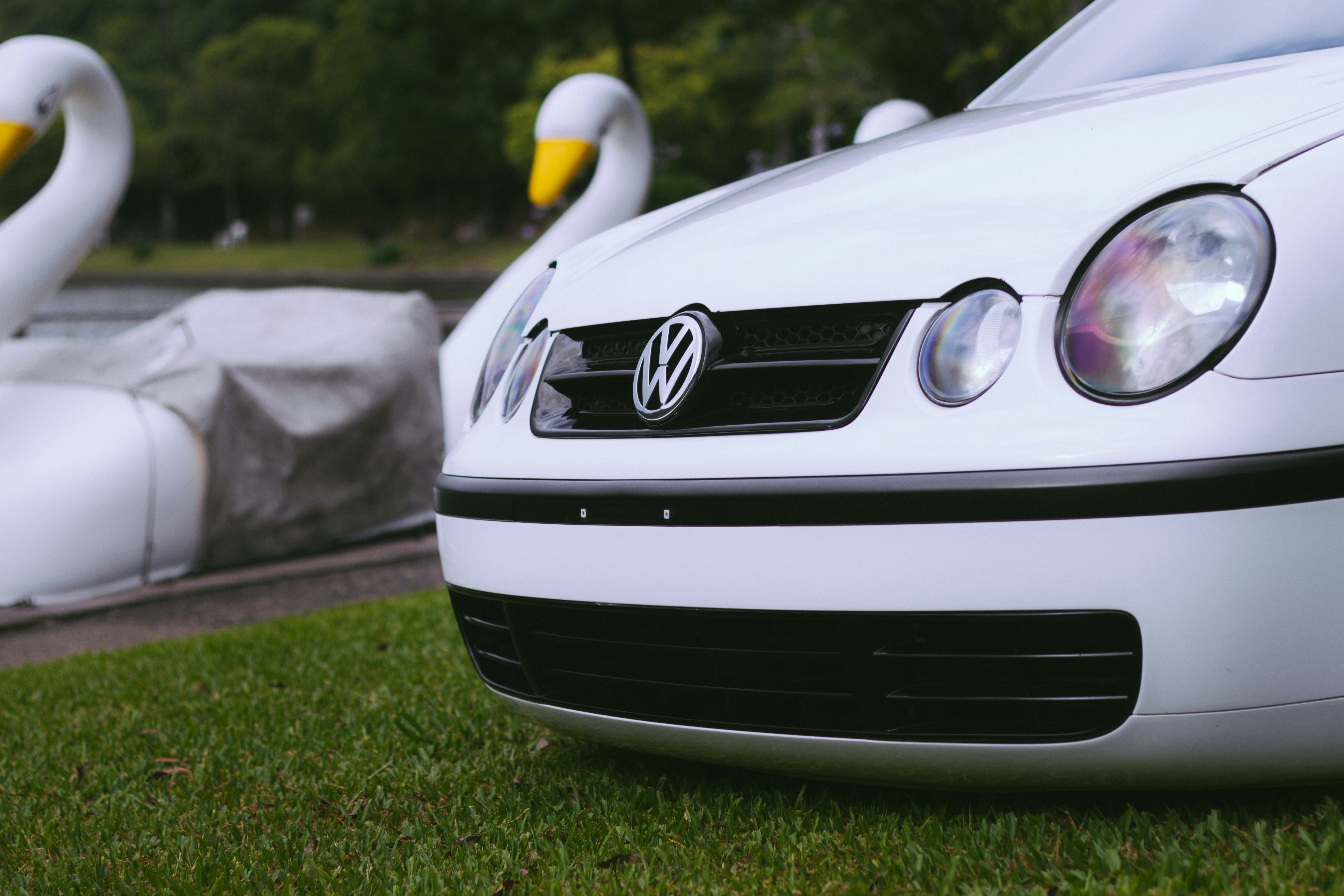 Grille in Focus: A VW Front Portrait by Swan Statues