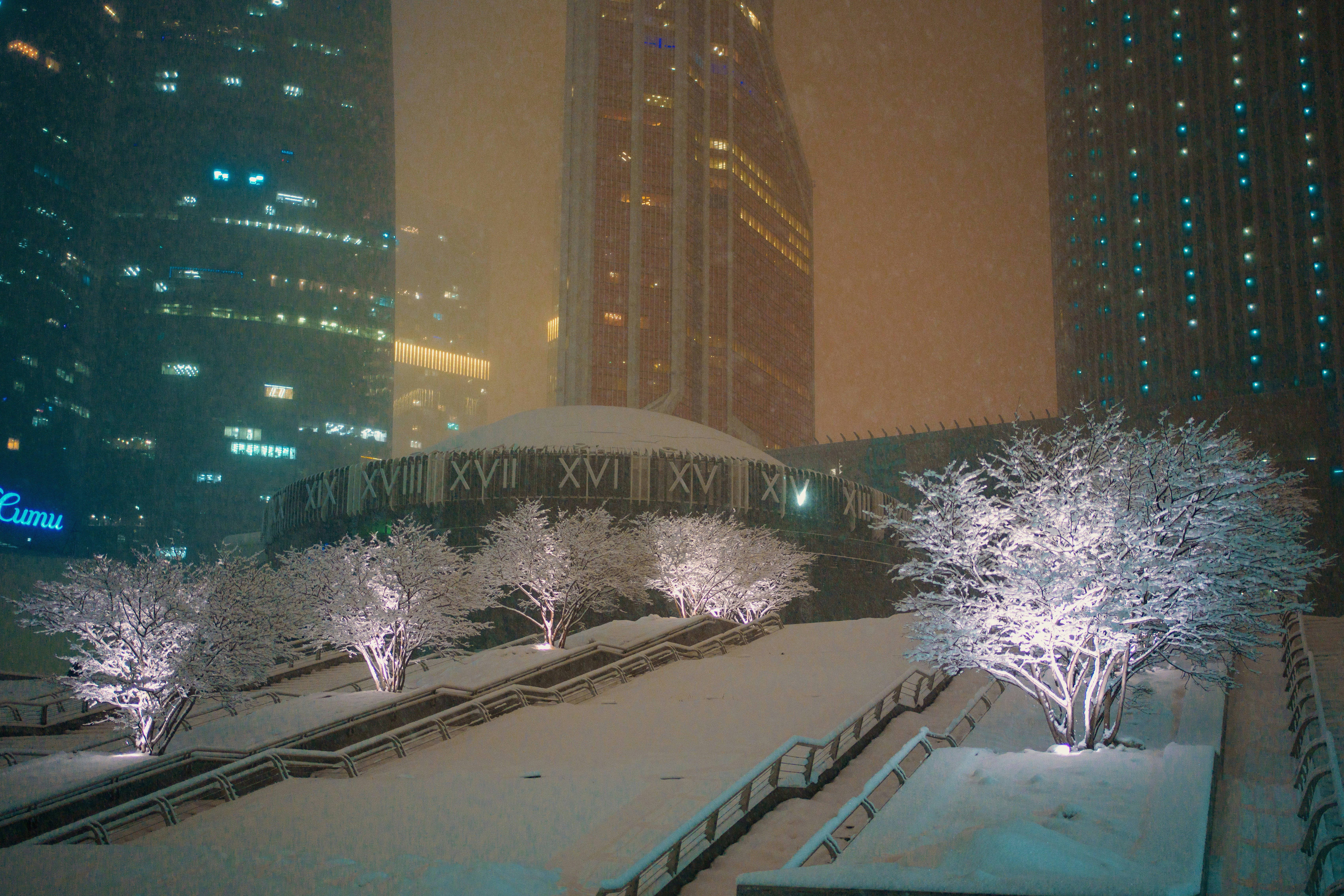 a snowy night in a city with trees and buildings