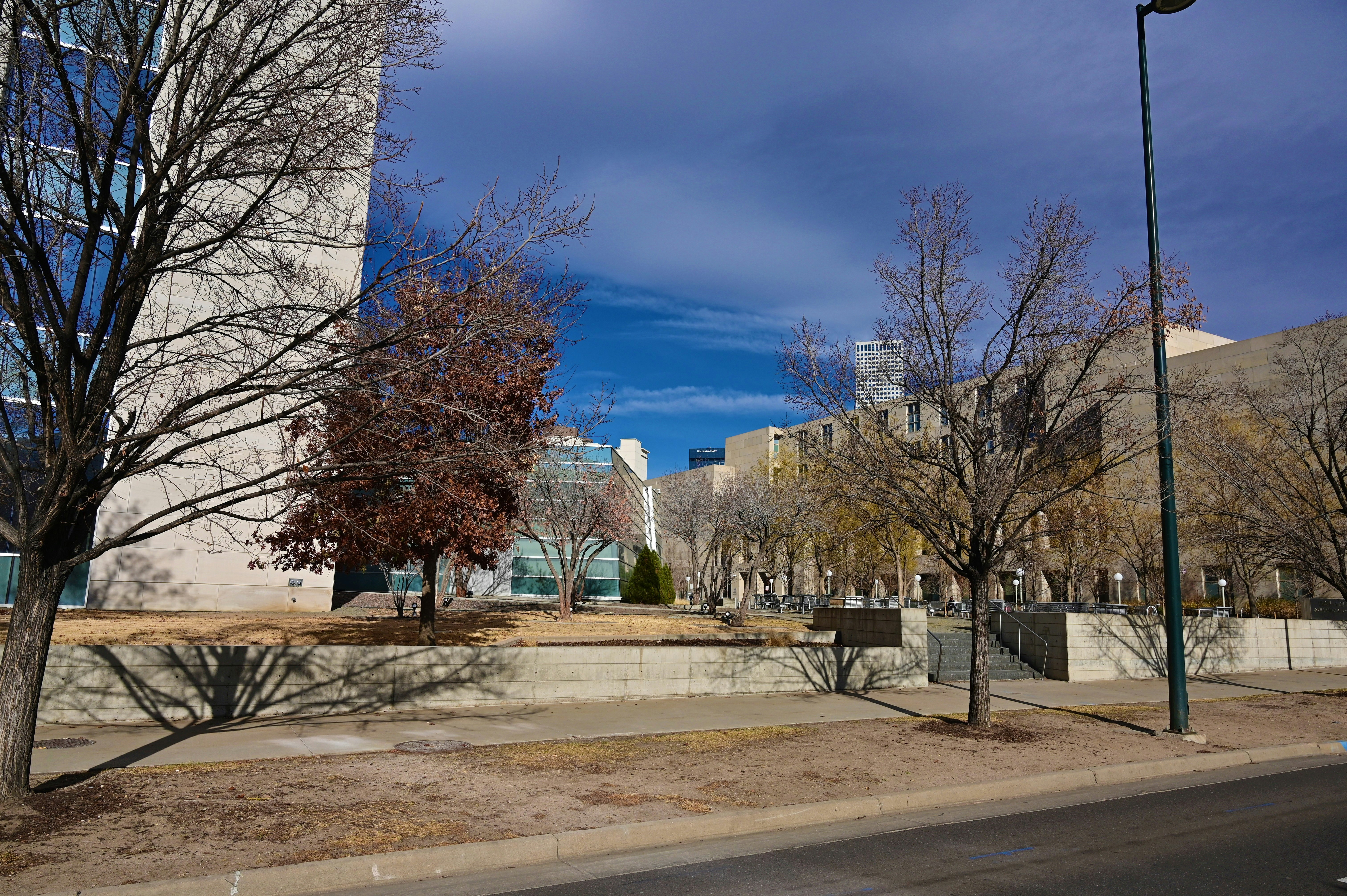 A view of a city street with tall buildings in the background photo ...