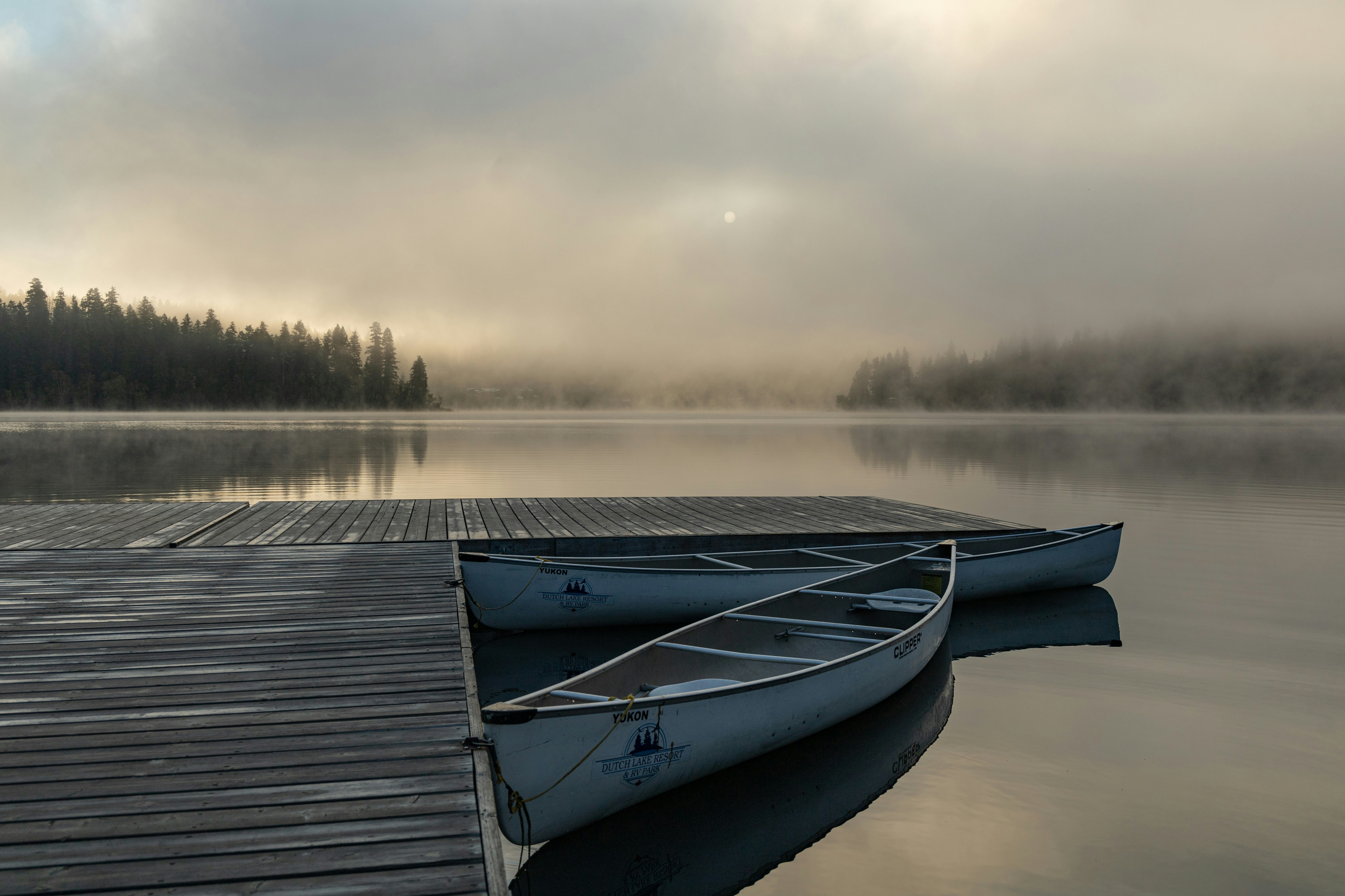 Photo by David Cerini with Canon EOS RP