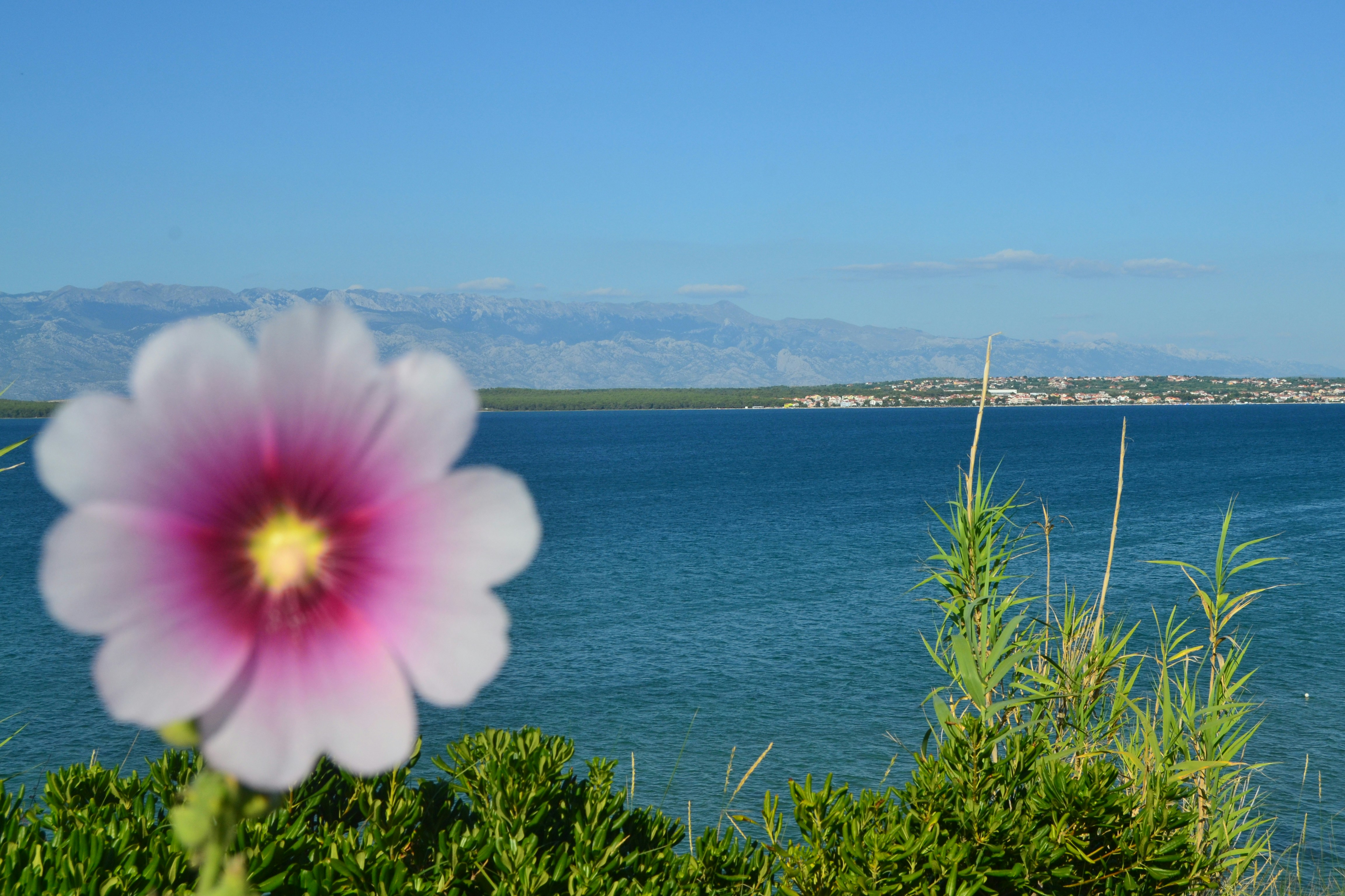 Beautiful view of nin