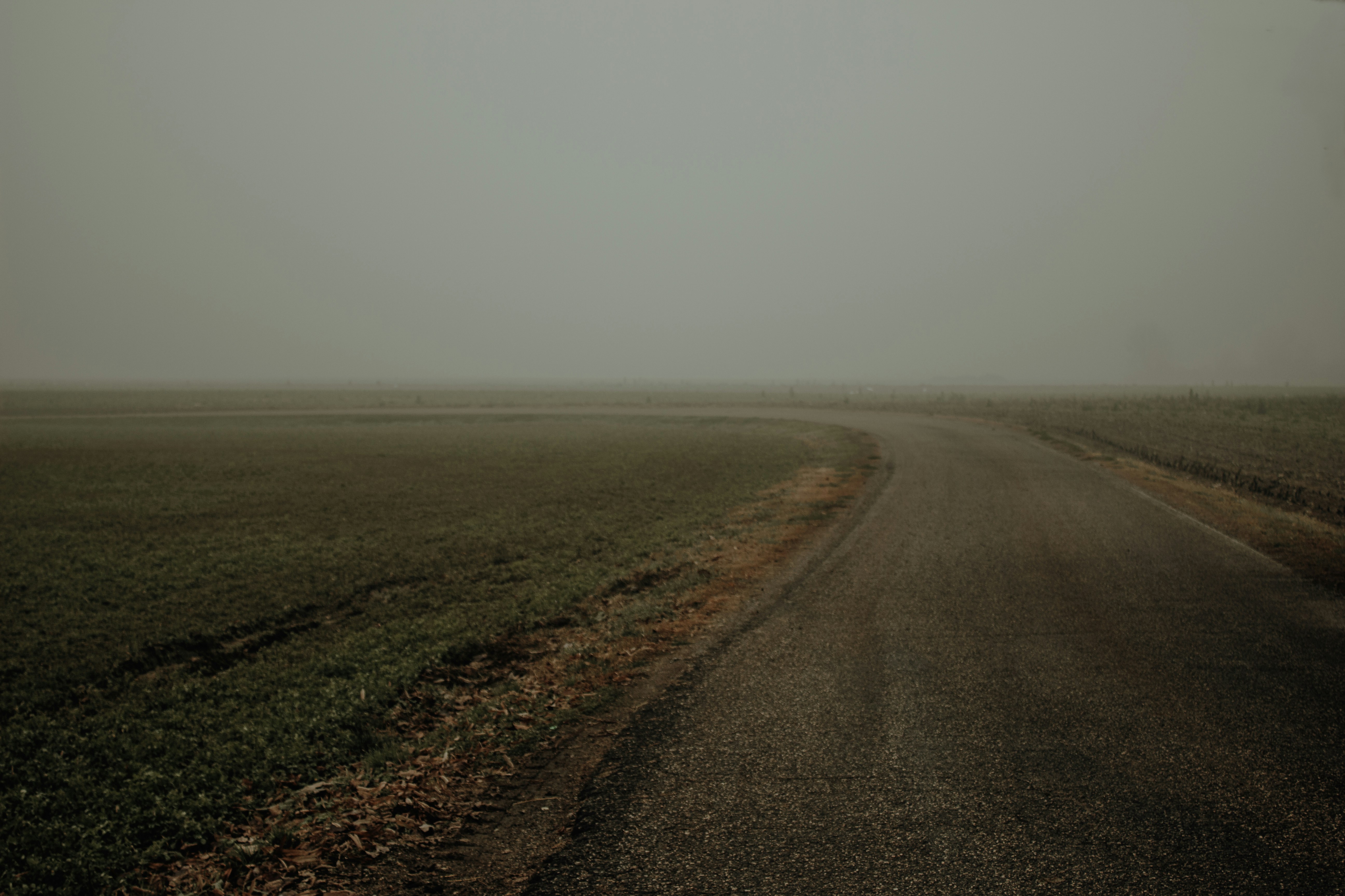 Desolate road curving through misty fields under a gray sky.
