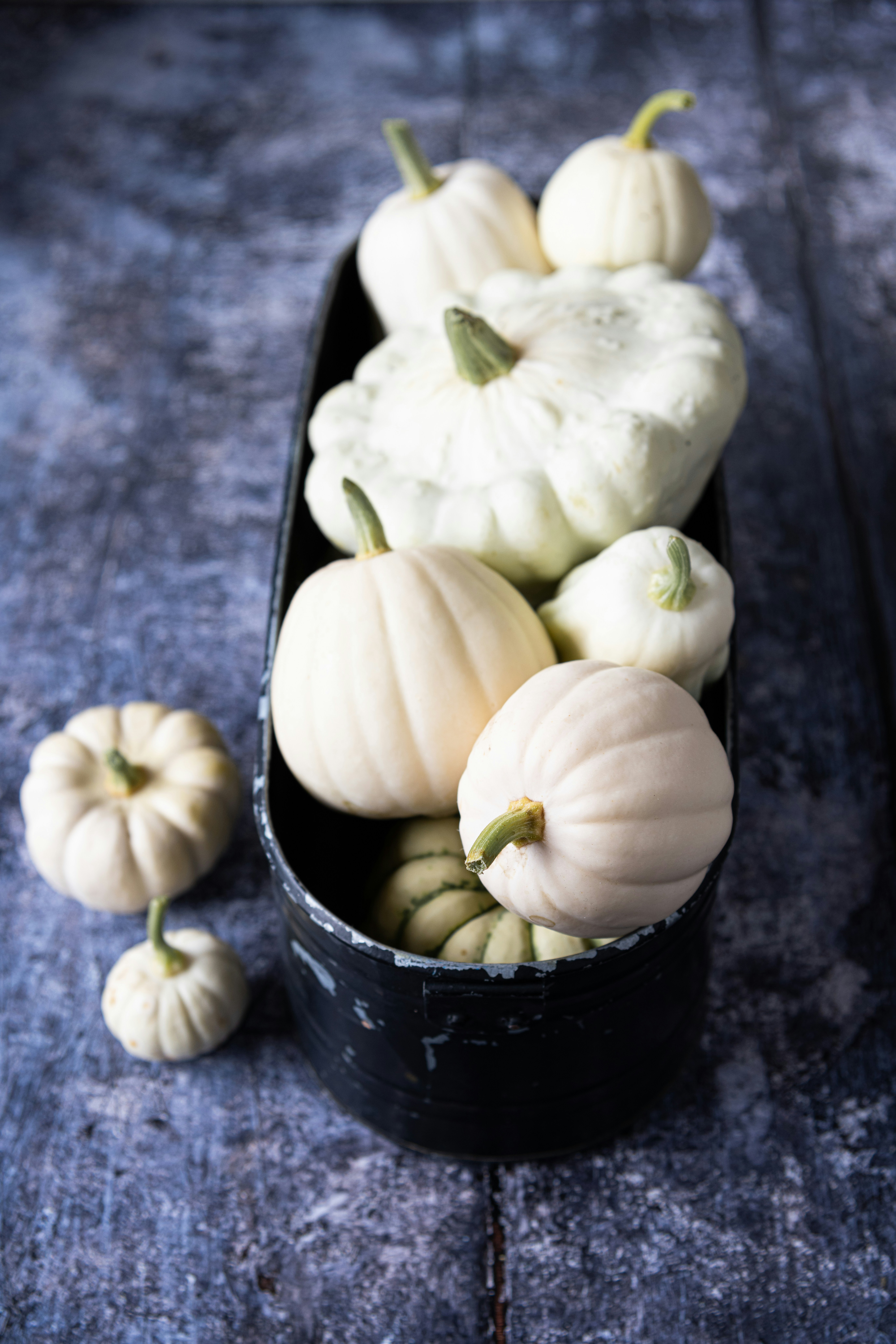 Muted Harvest: A Row of Cream pumpkins in a Weathered Tub