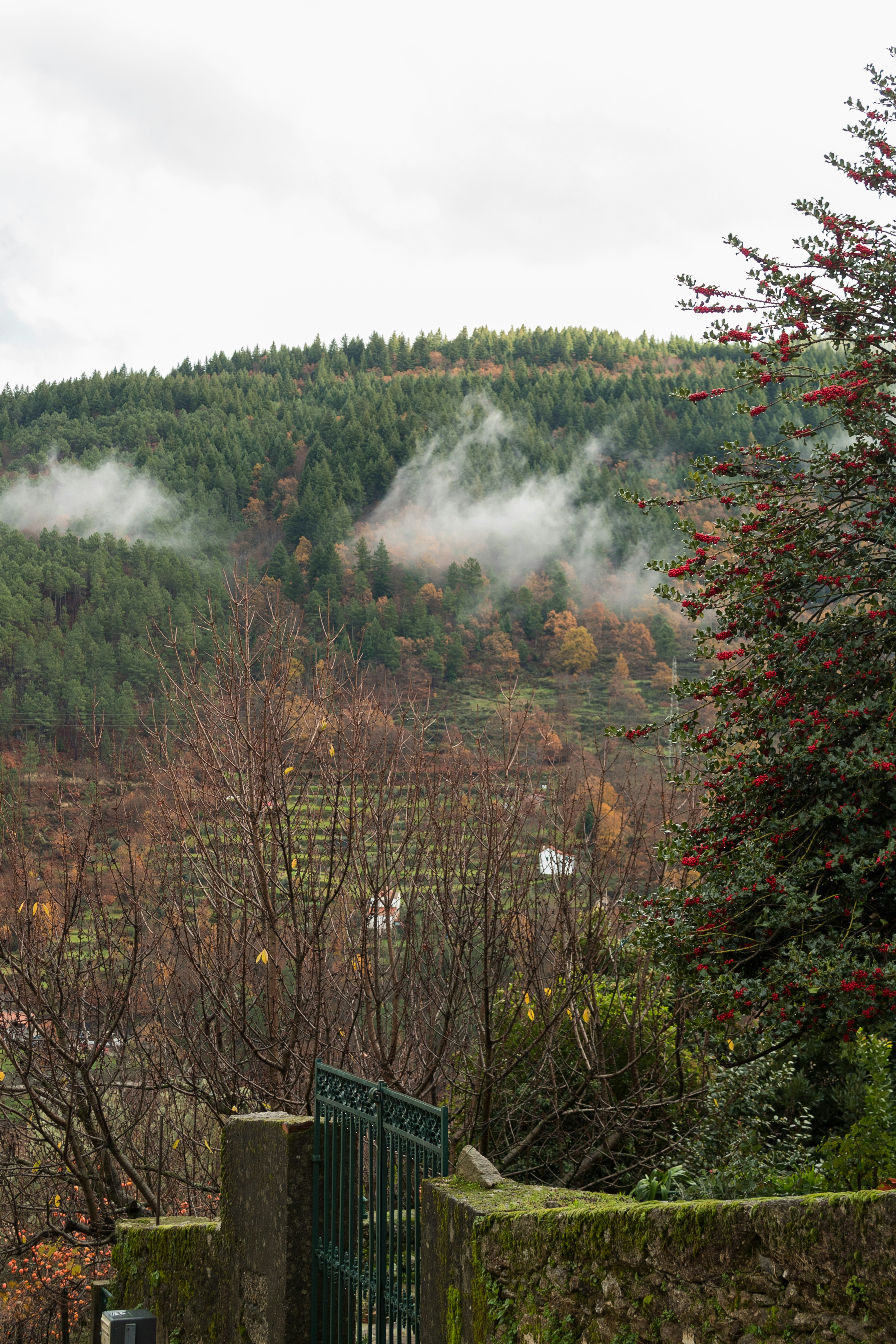 A gate in front of a lush green hillside photo – Free Portugal Image on ...