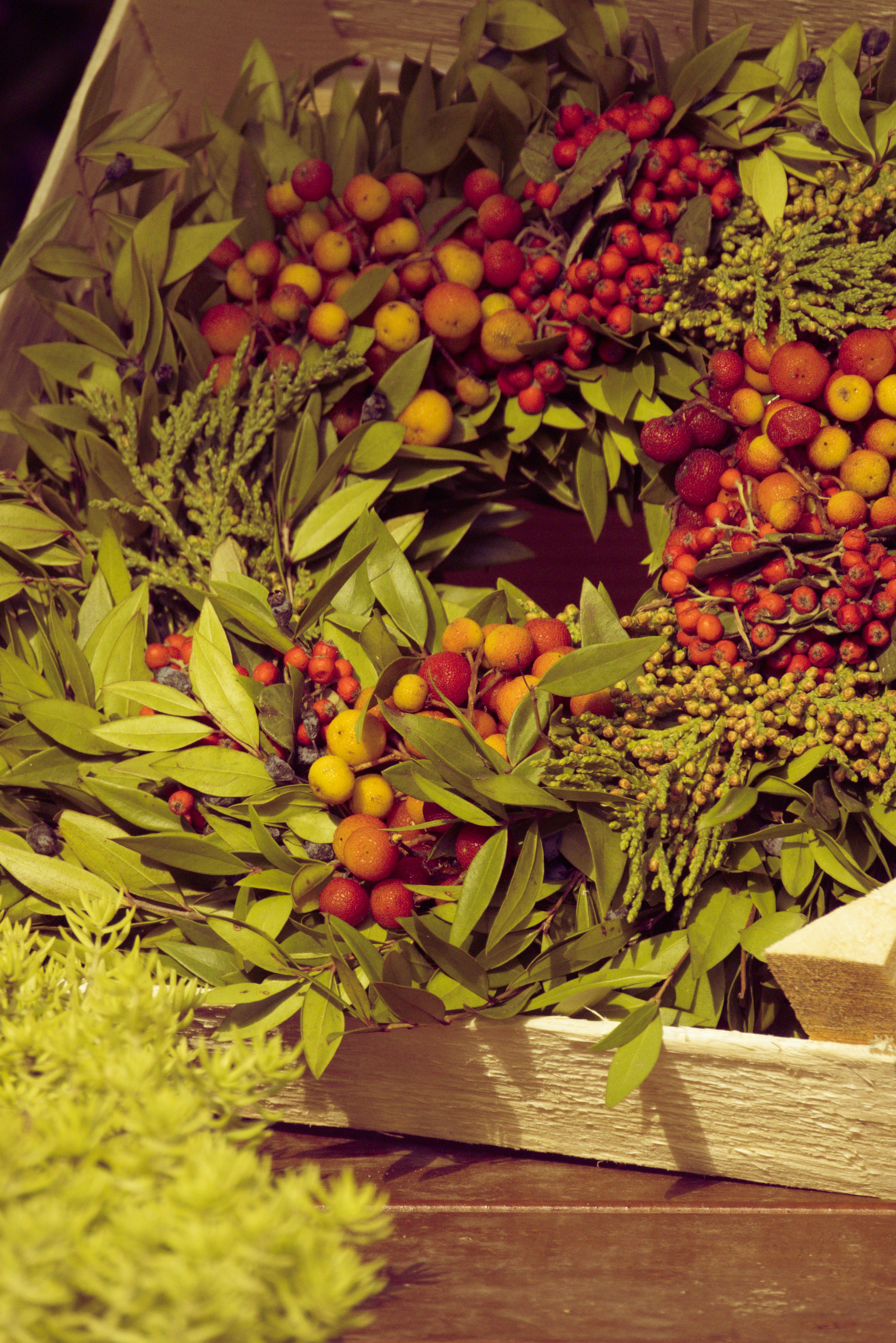 Vibrant wreath crafted from assorted berries and greenery, showcasing seasonal colors and textures. Ideal for festive decor.