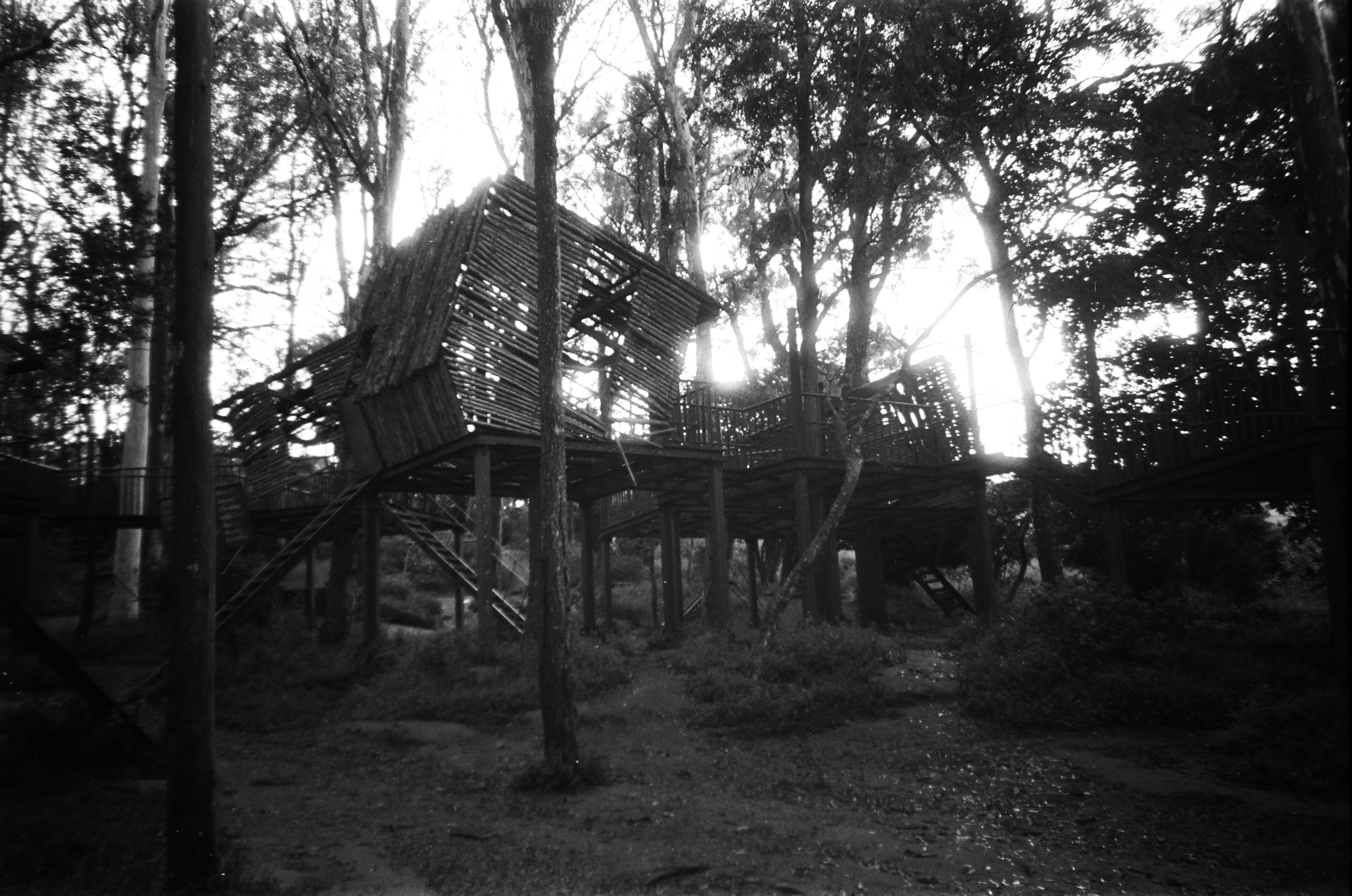 Treehouse on Stilts: a weathered refuge in the woods
