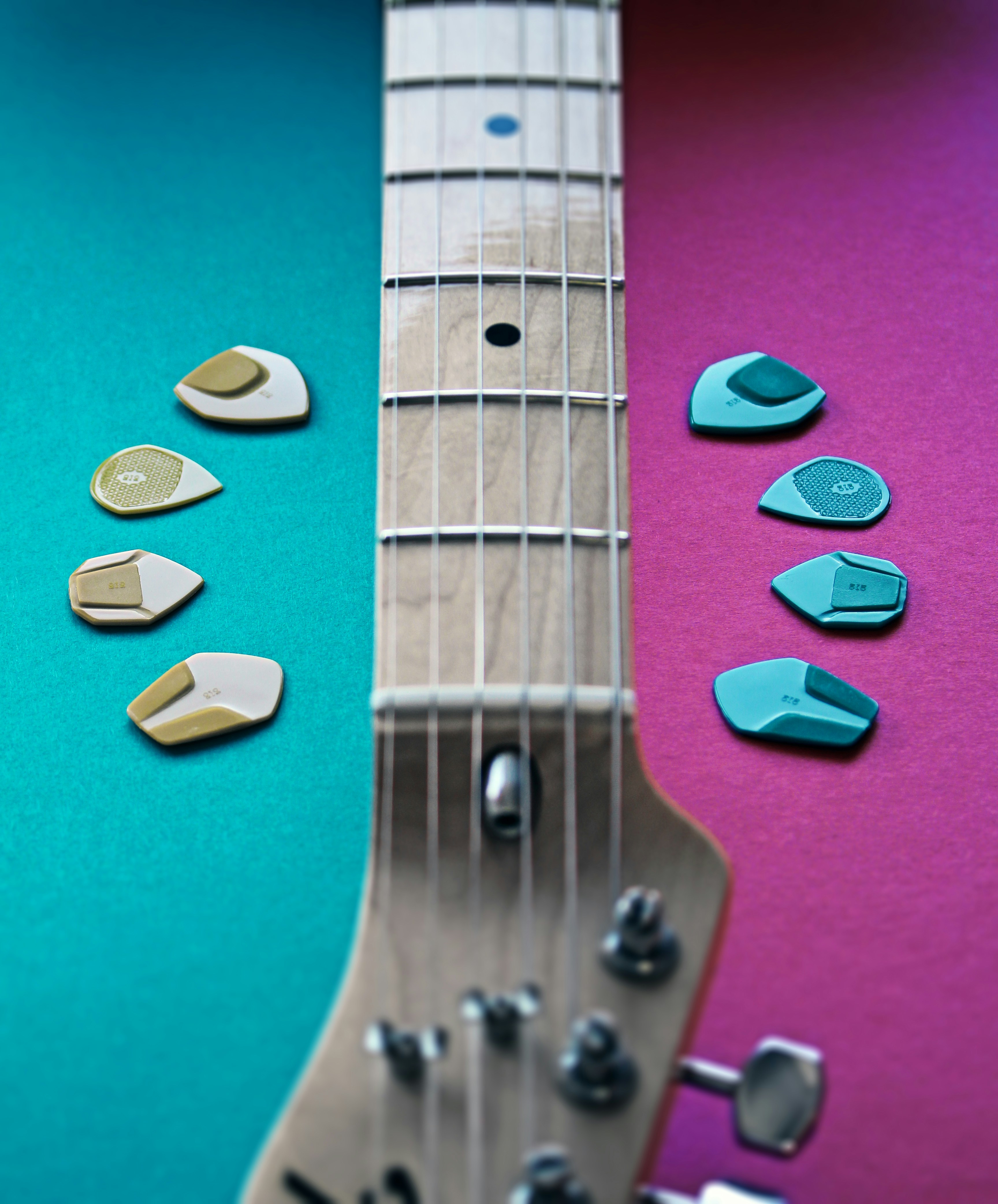 A close up of a guitar neck with several guitar picks photo – Free ...