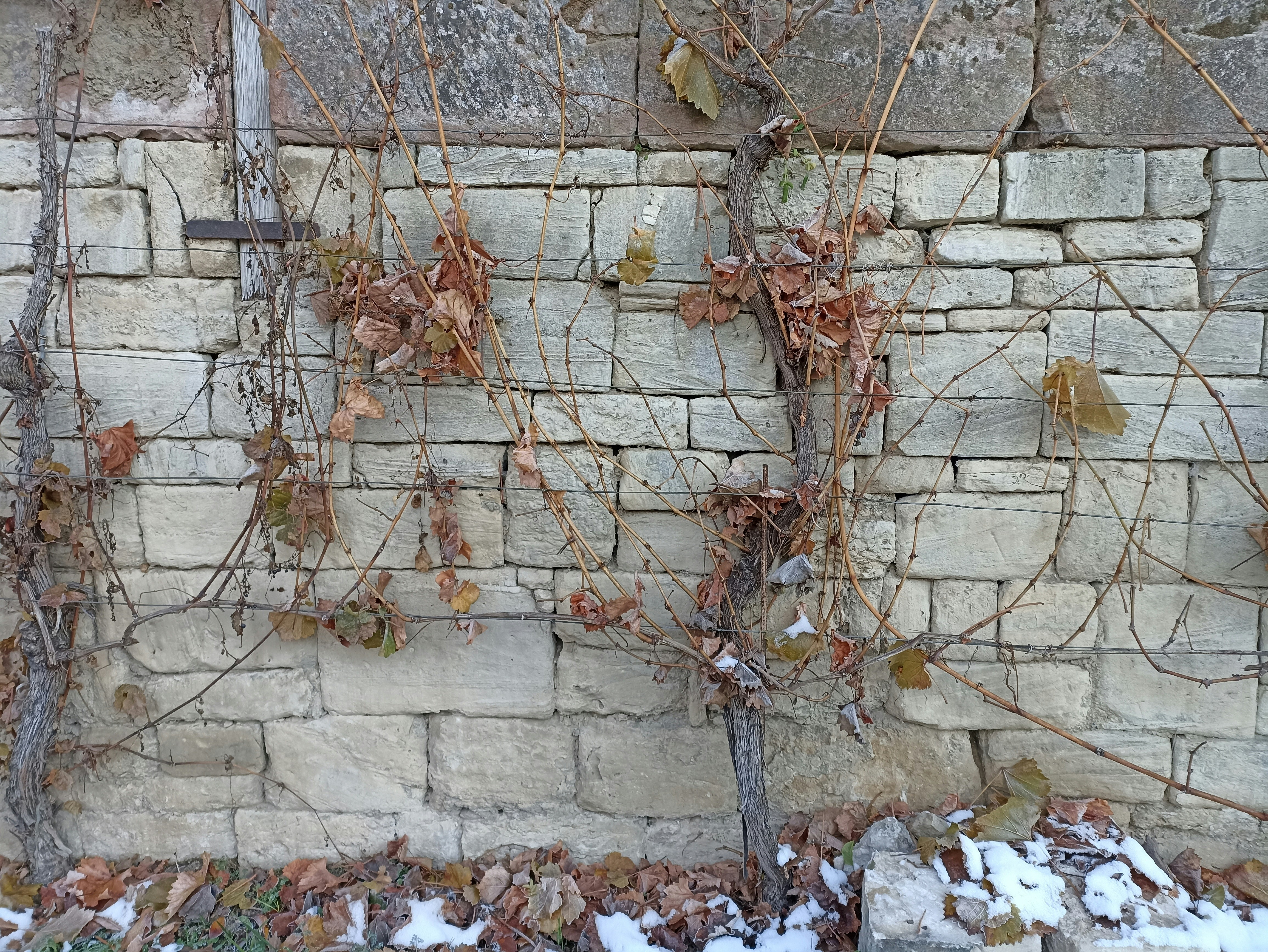 HD photo by Christel Binder