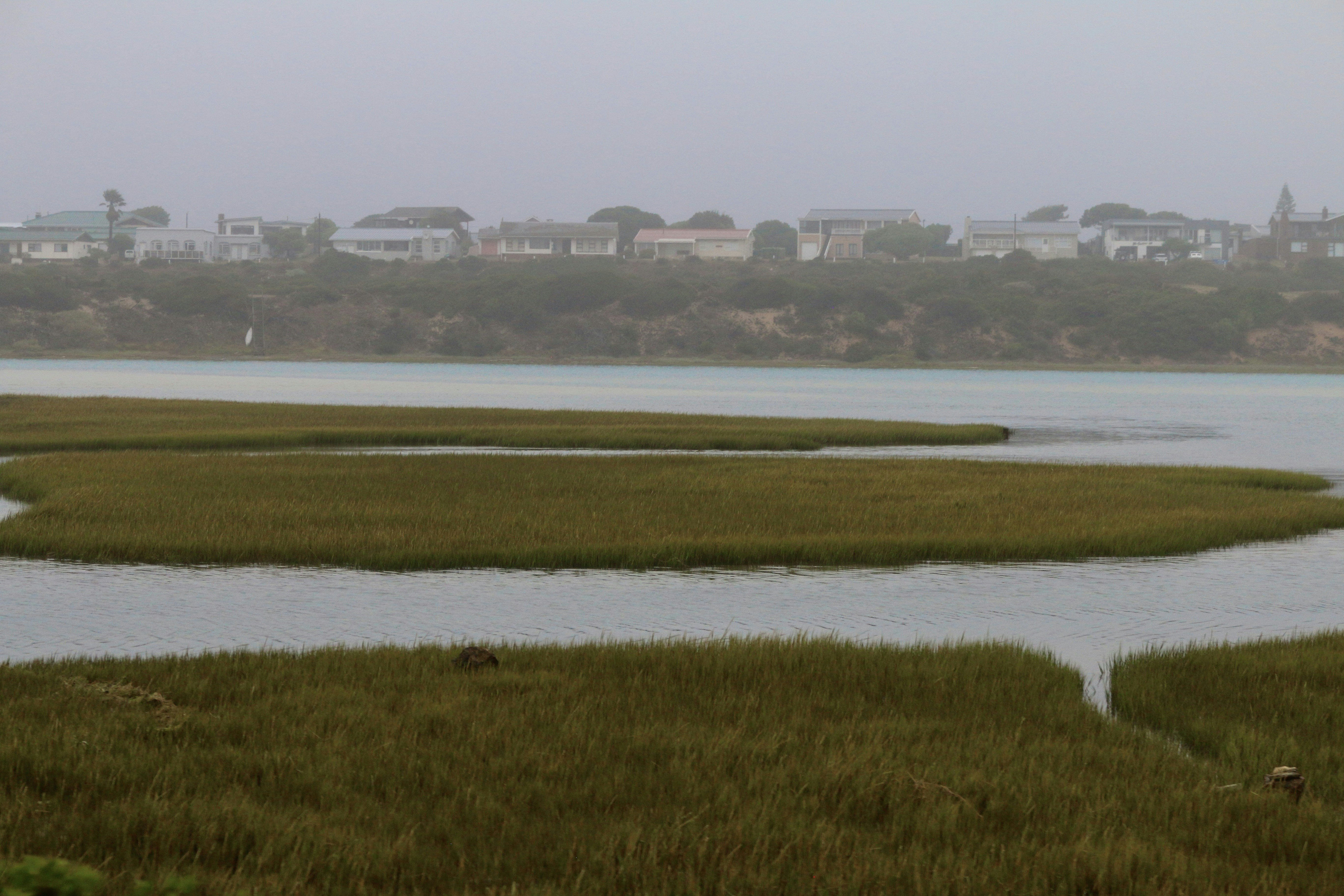 Distant Homes on a Quiet Coastal Marsh