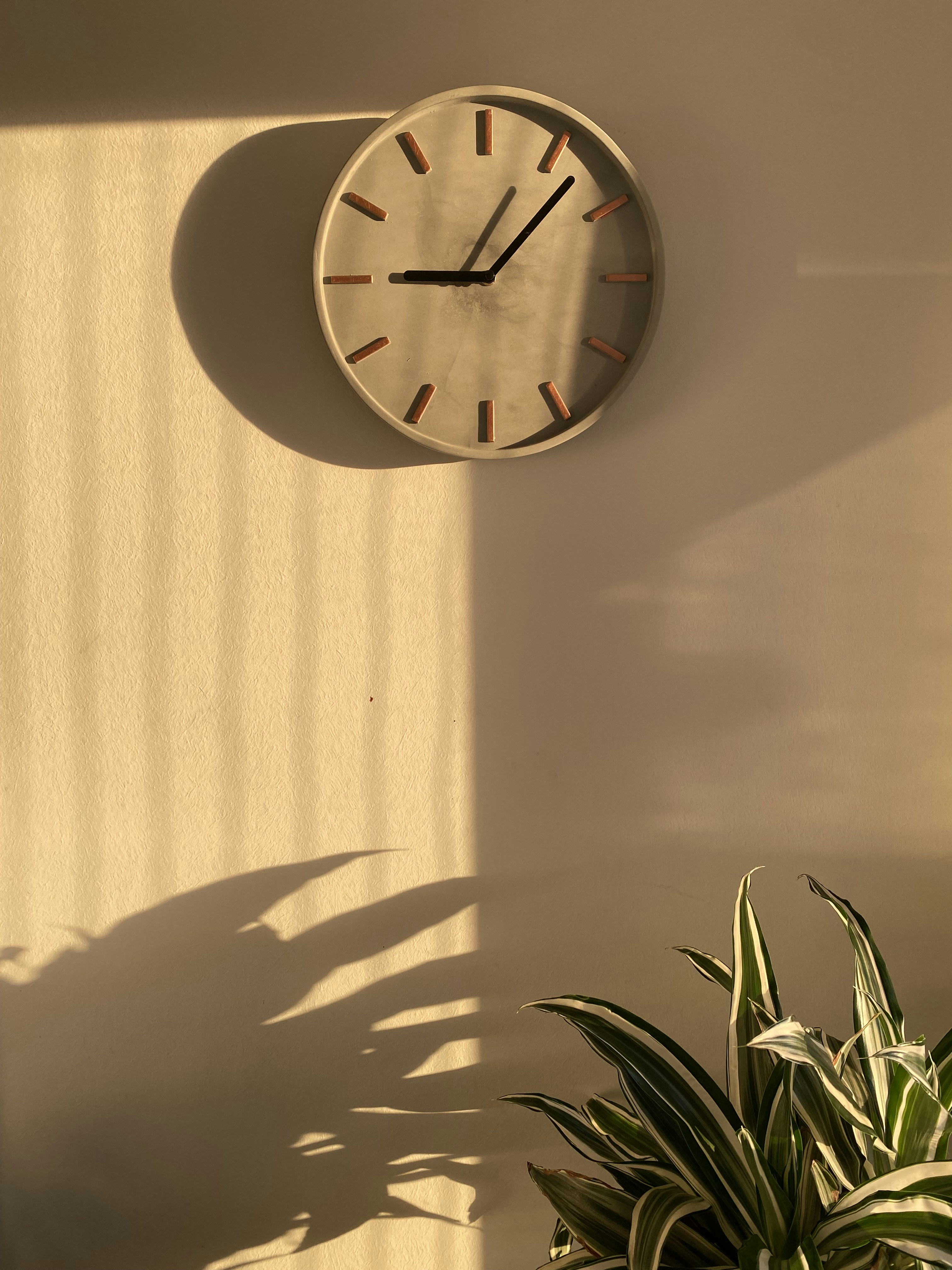 a clock mounted to the side of a wall next to a potted plant
