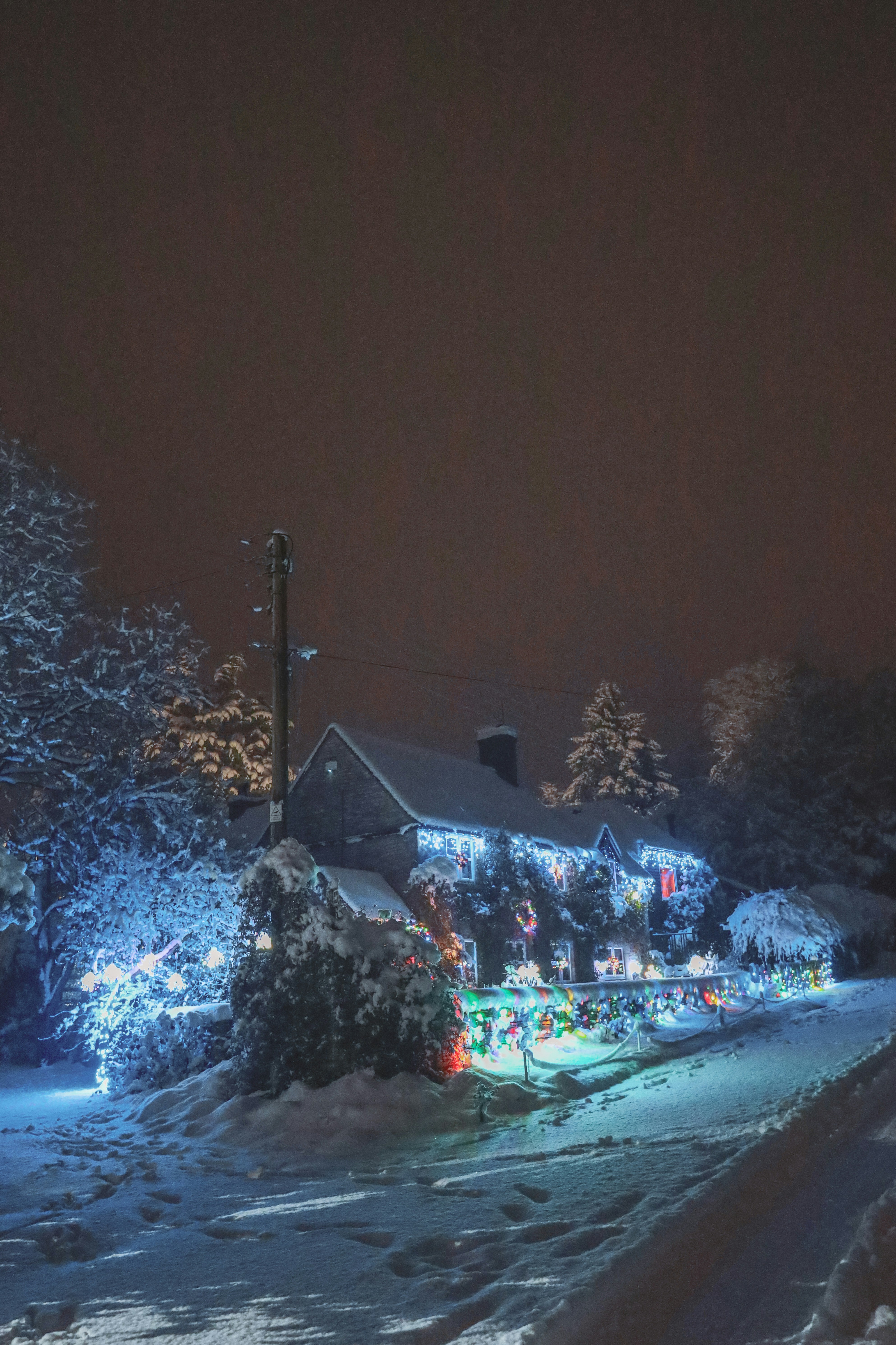 Photo by fabian jones with Canon EOS R