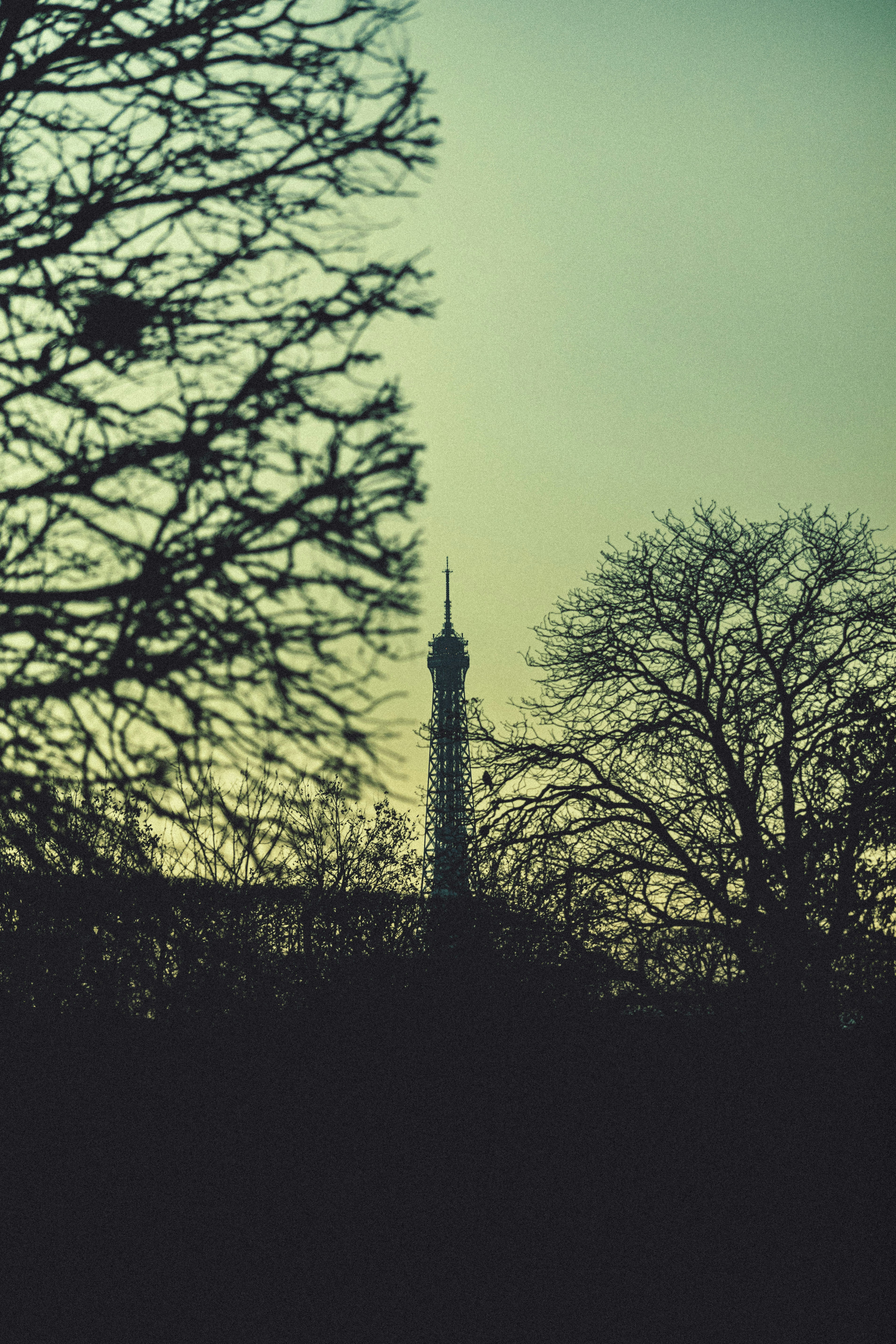 Iron Lace at Dusk: A Tower Between Bare Branches