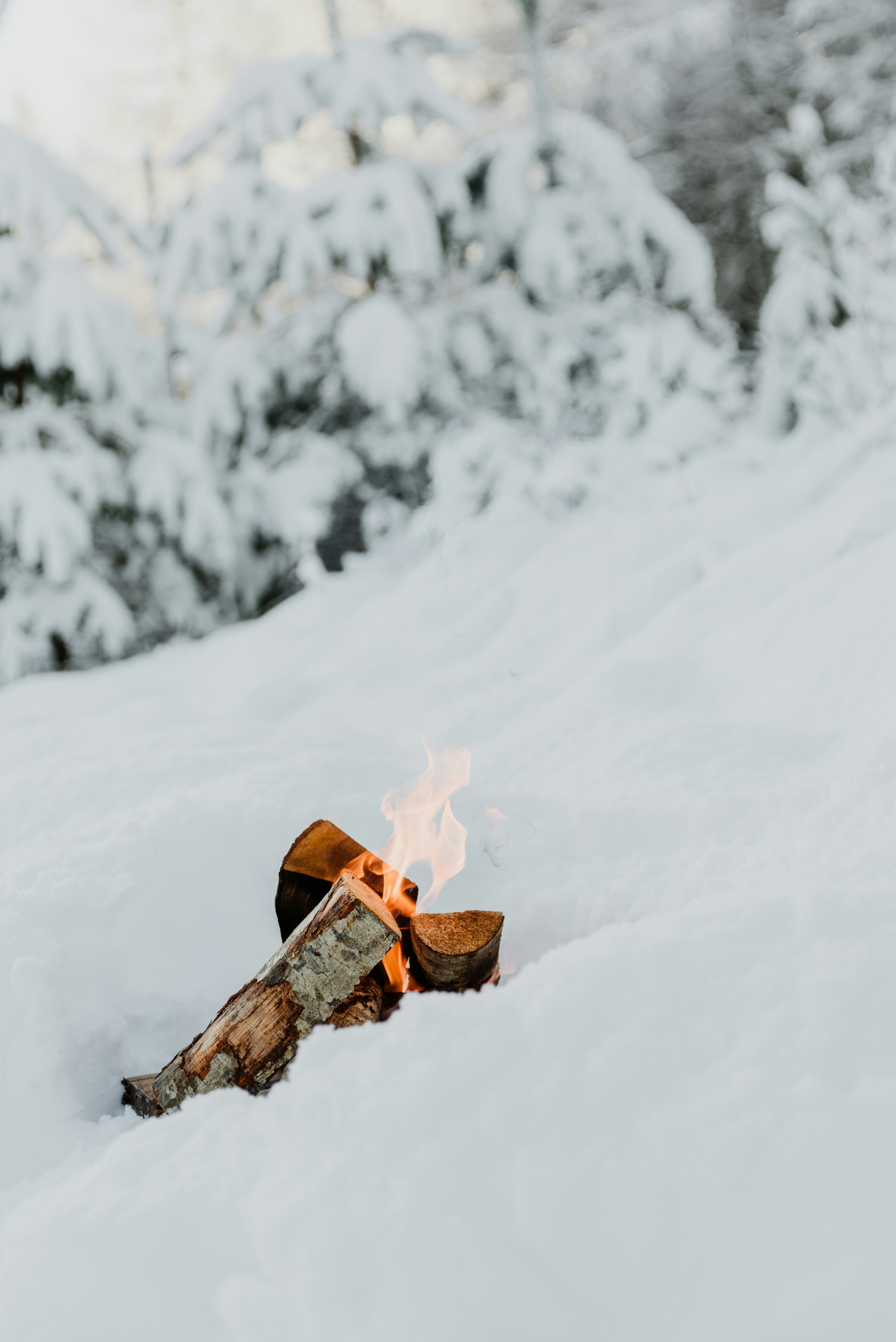 Ember in the Snow: a Quiet Campfire Through Fresh Powder