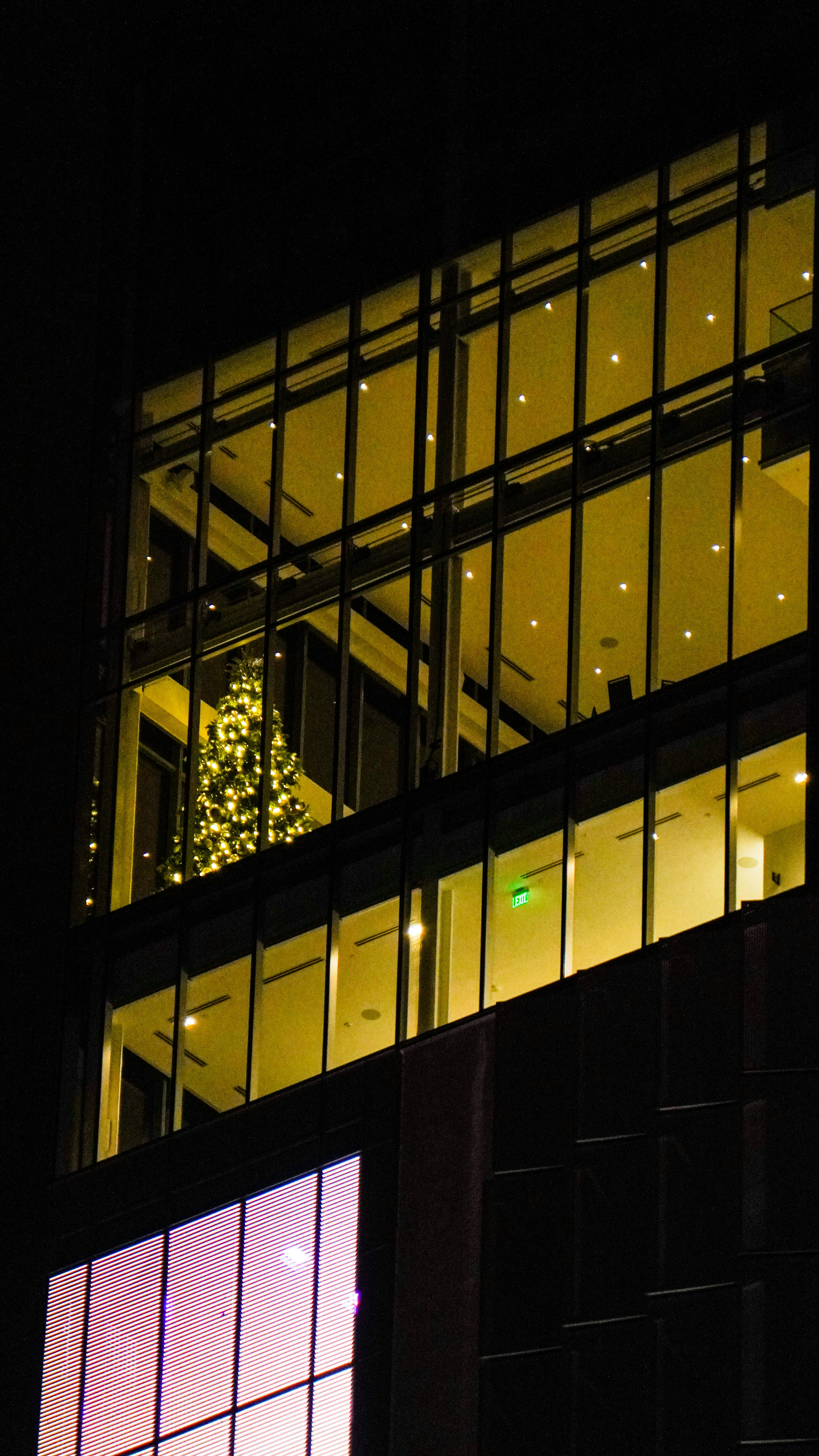 Photo by Koushalya Karthikeyan with Sony Alpha 6100