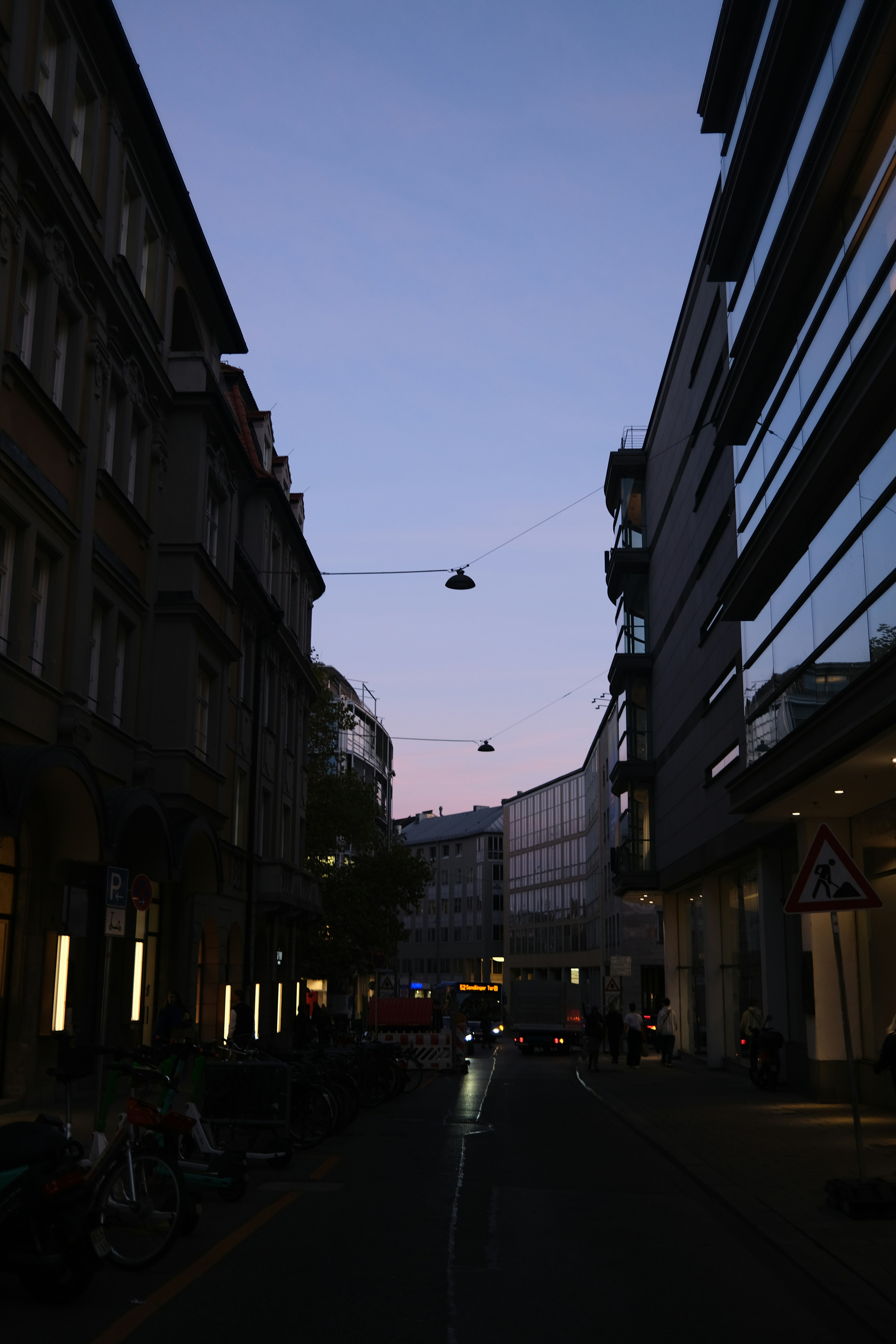 Photo by Robin the Bird with Fujifilm X100V