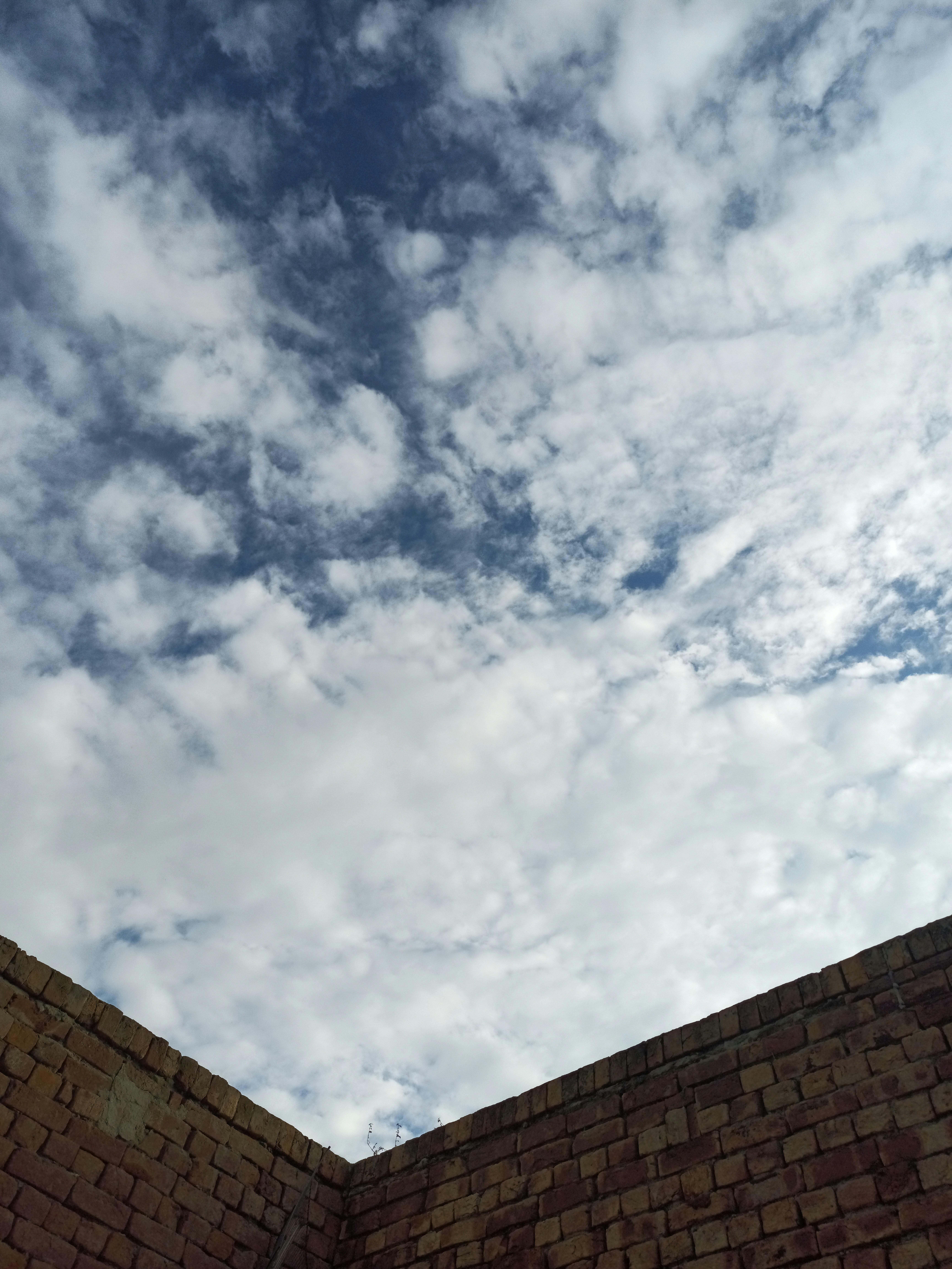 Sample photo from Infinix Note 10 Pro