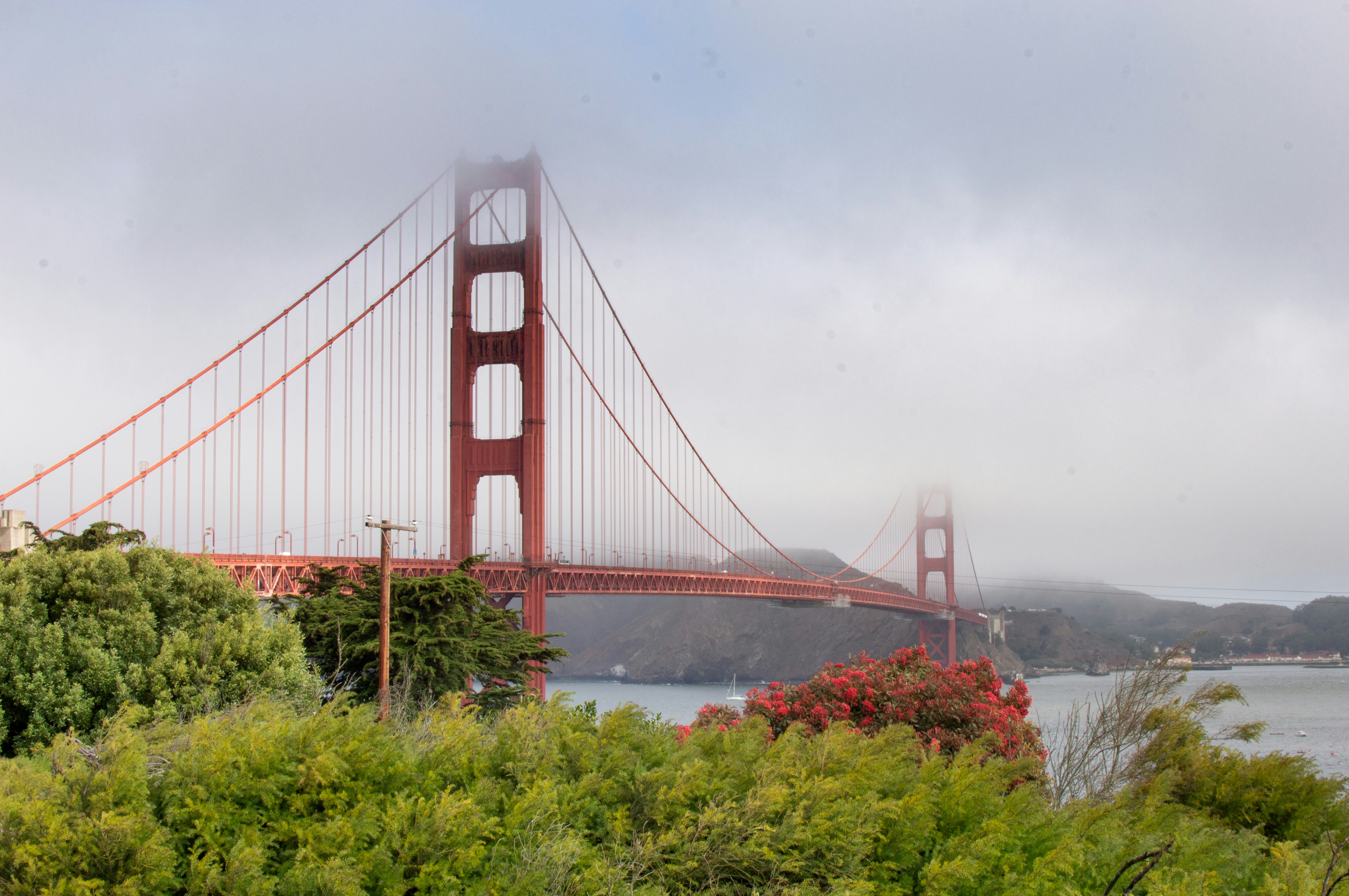 A view of the golden gate bridge on a foggy day photo – Free Golden ...