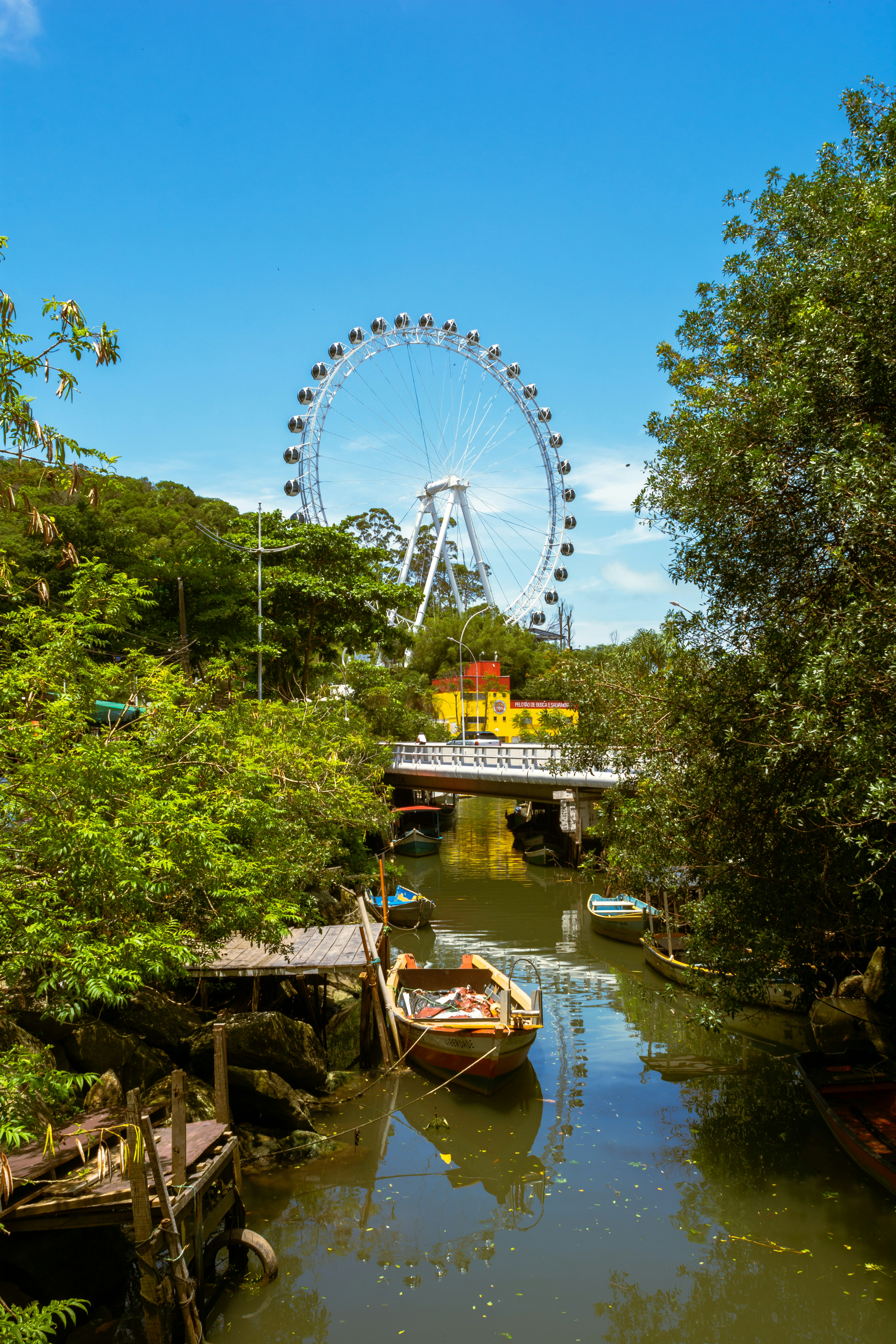 a river with a ferris wheel in the background