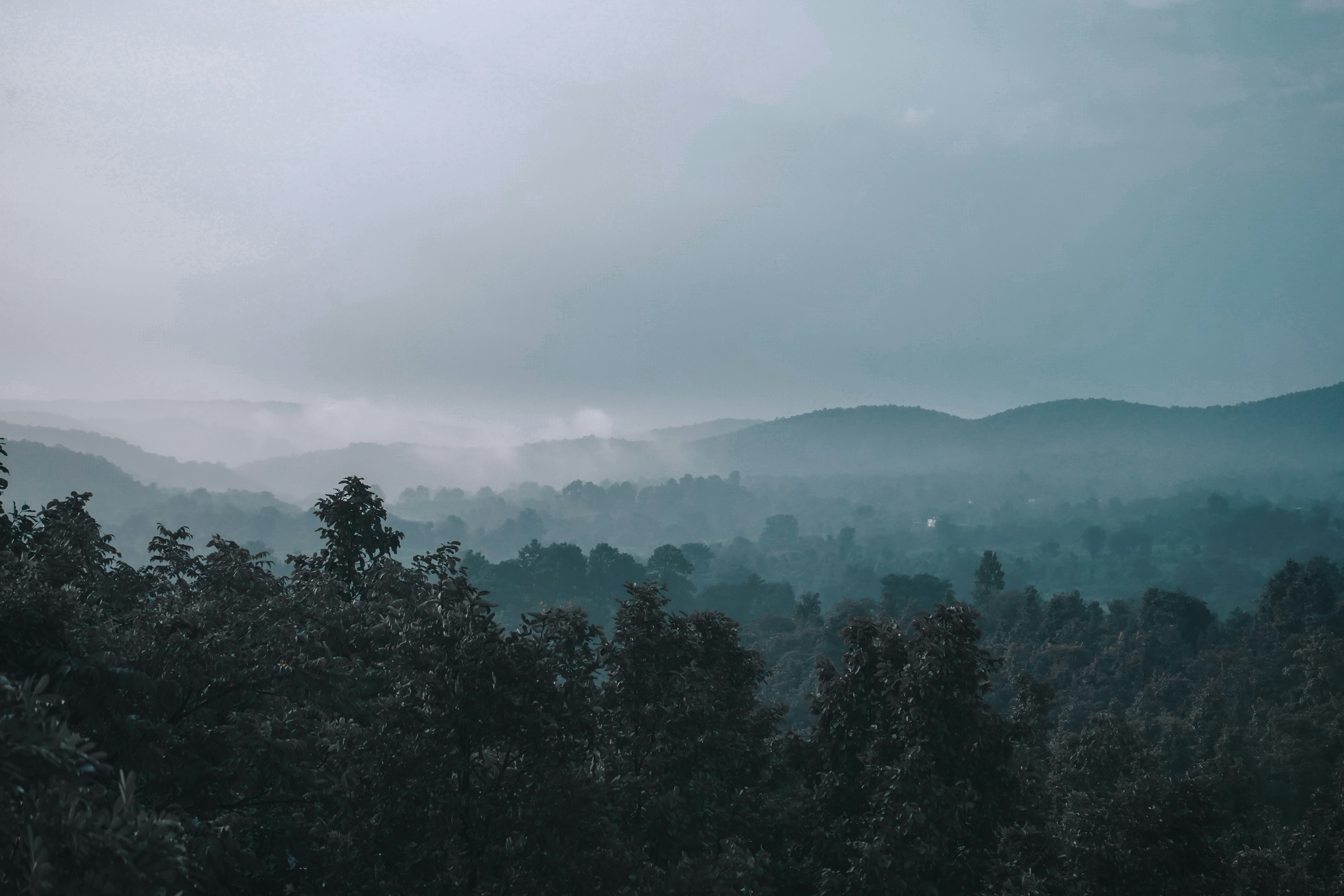 mist within thoughts.