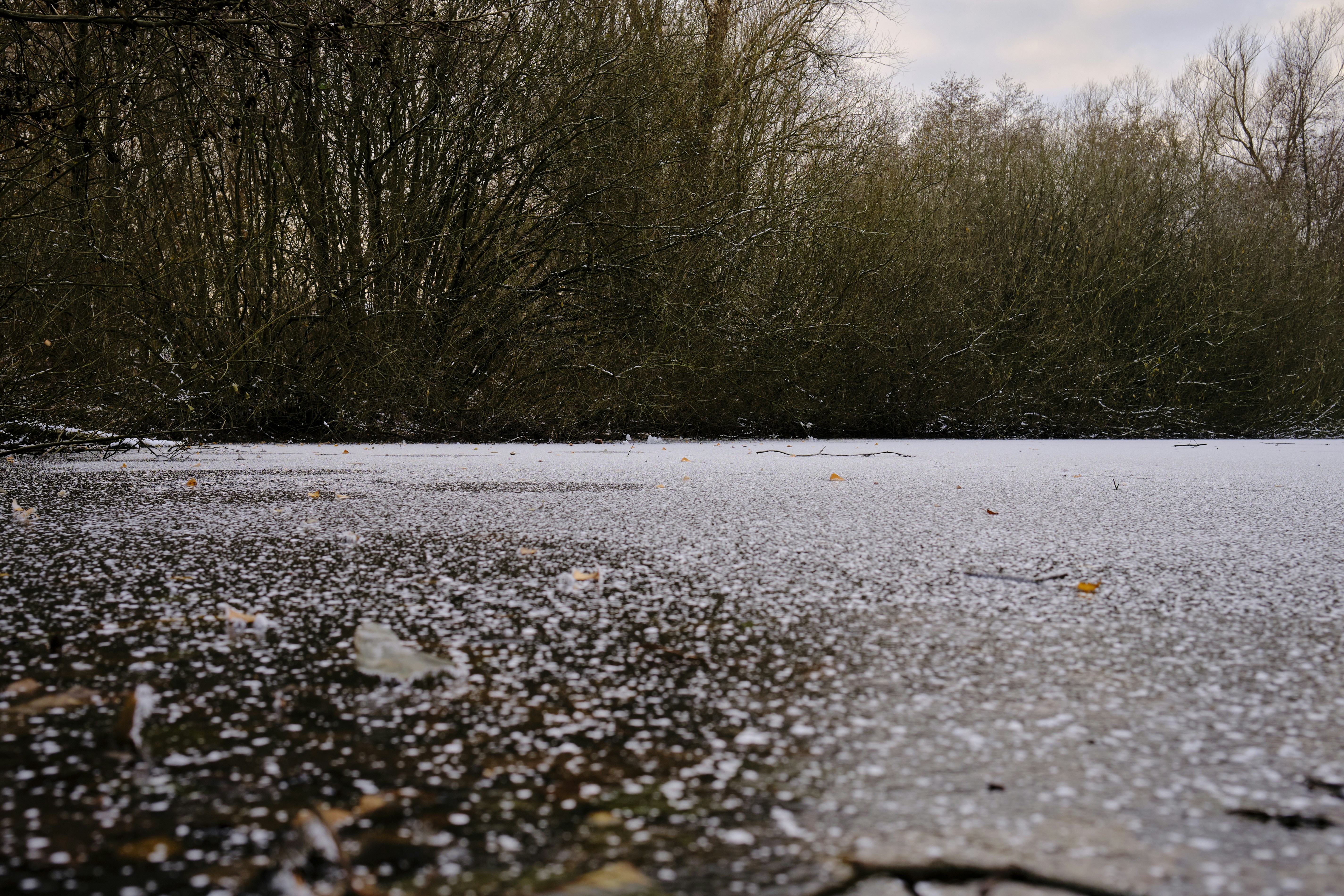 Whispers of Winter on a Frozen Pond