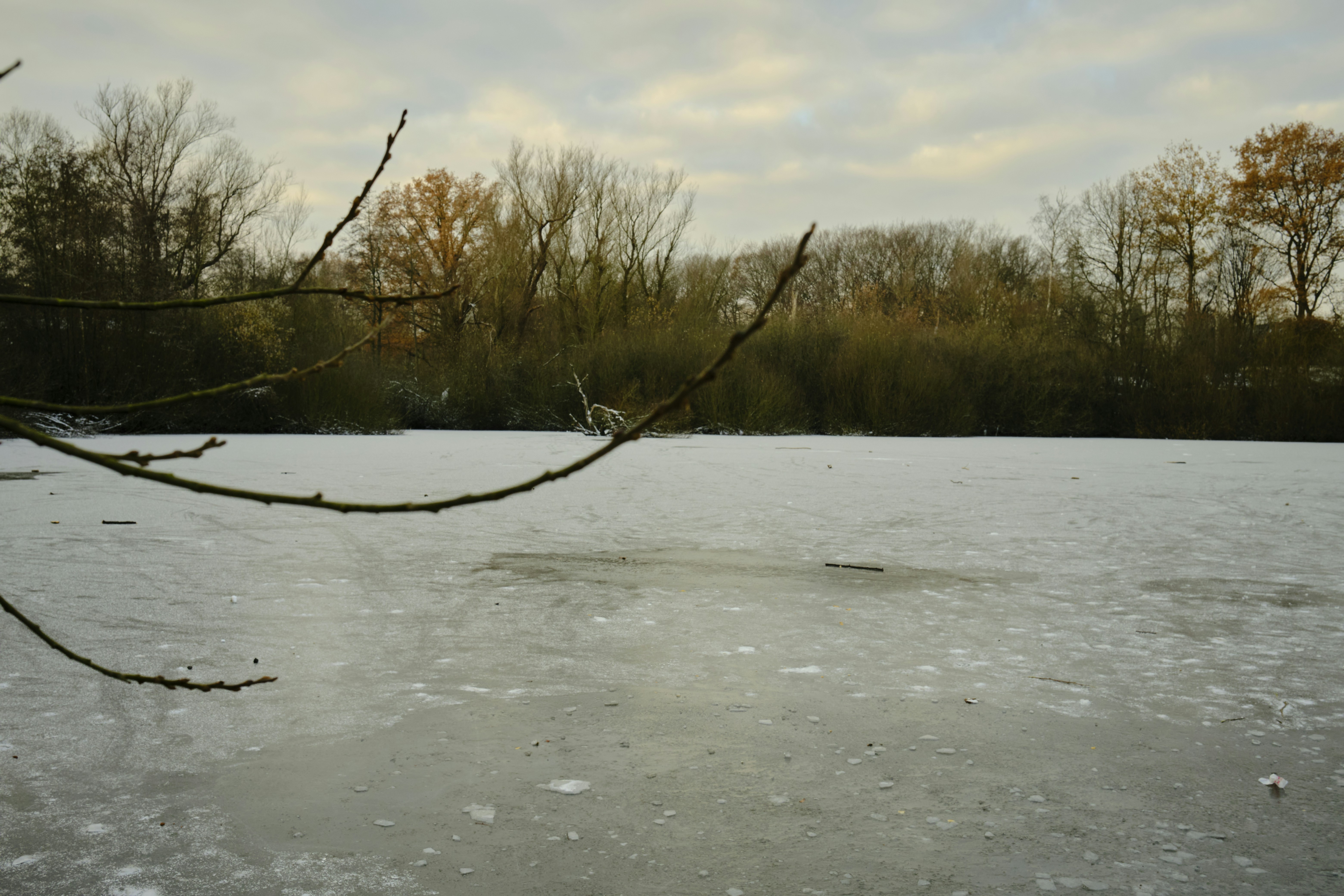 Ice-Glazed Riverside under Autumn Light
