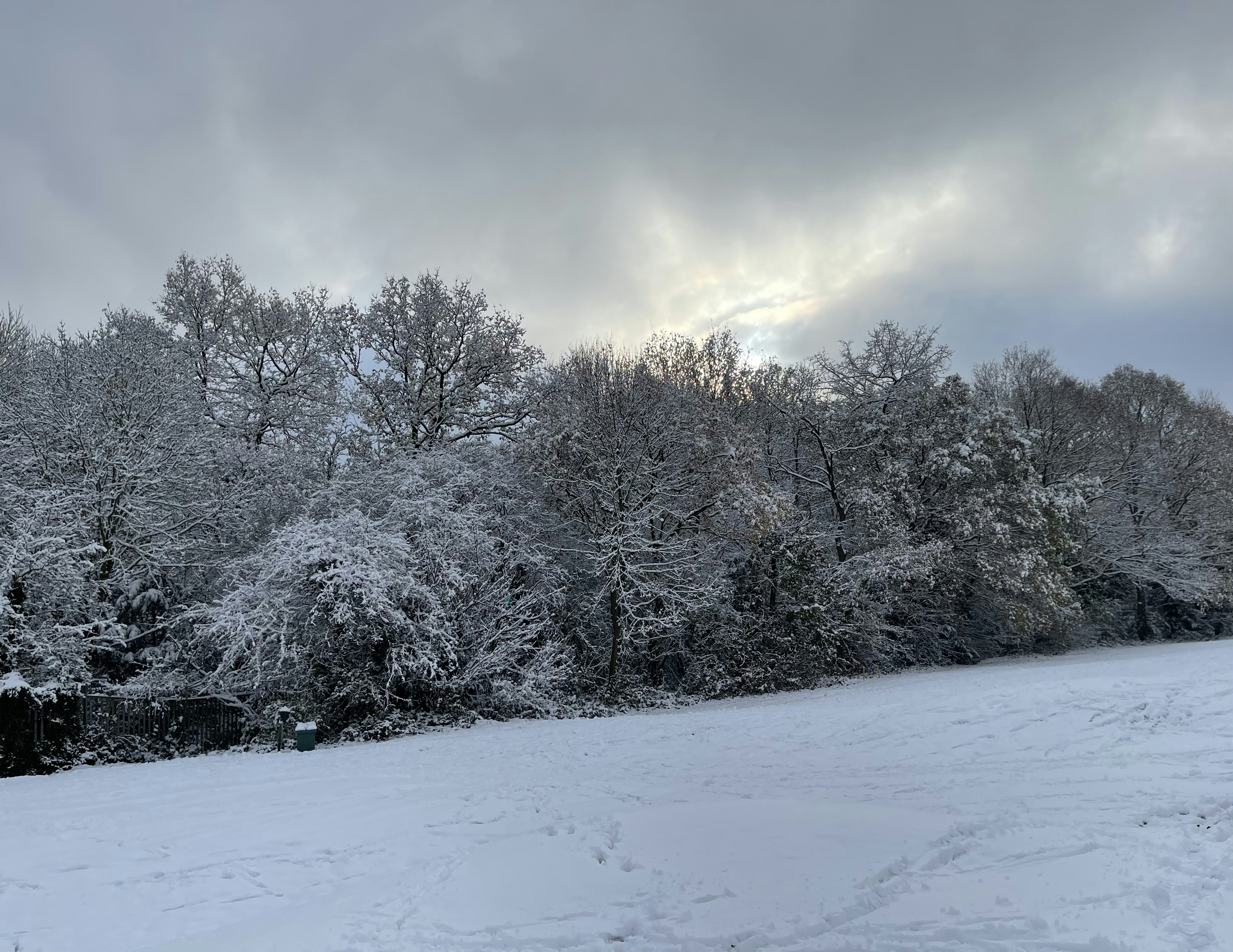 A snow covered field with trees in the background photo – Free Uk Image ...
