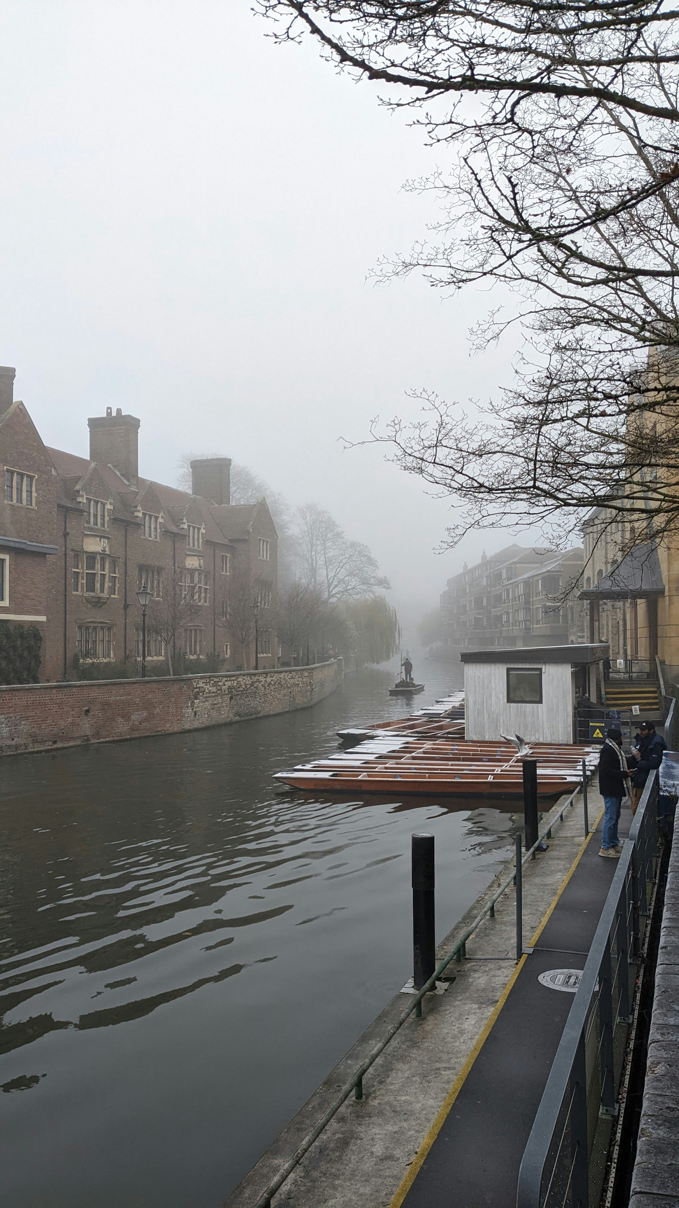 Whispers of the Foggy Riverbank