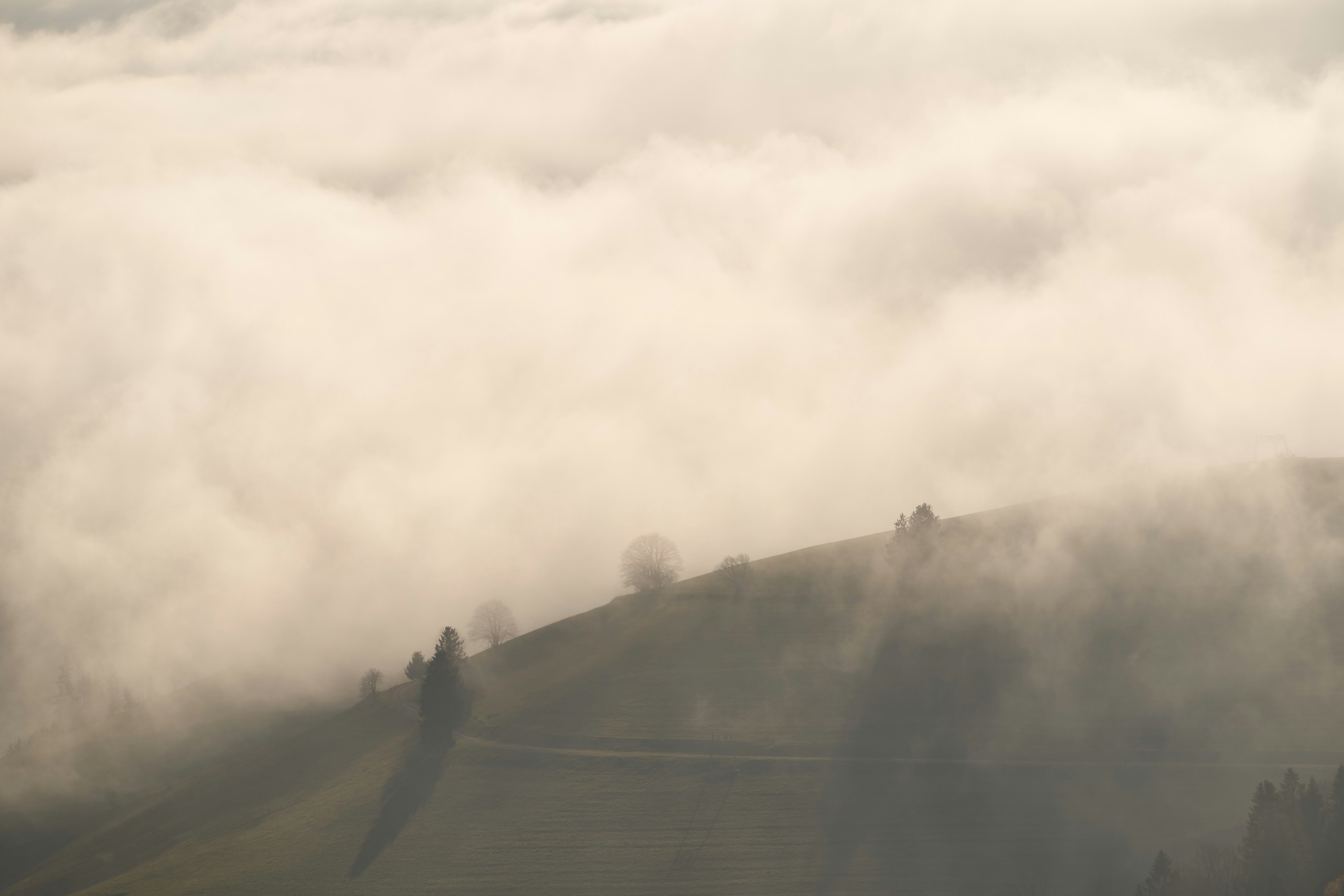 A hill covered in fog and clouds with trees on top photo – Free Nature ...