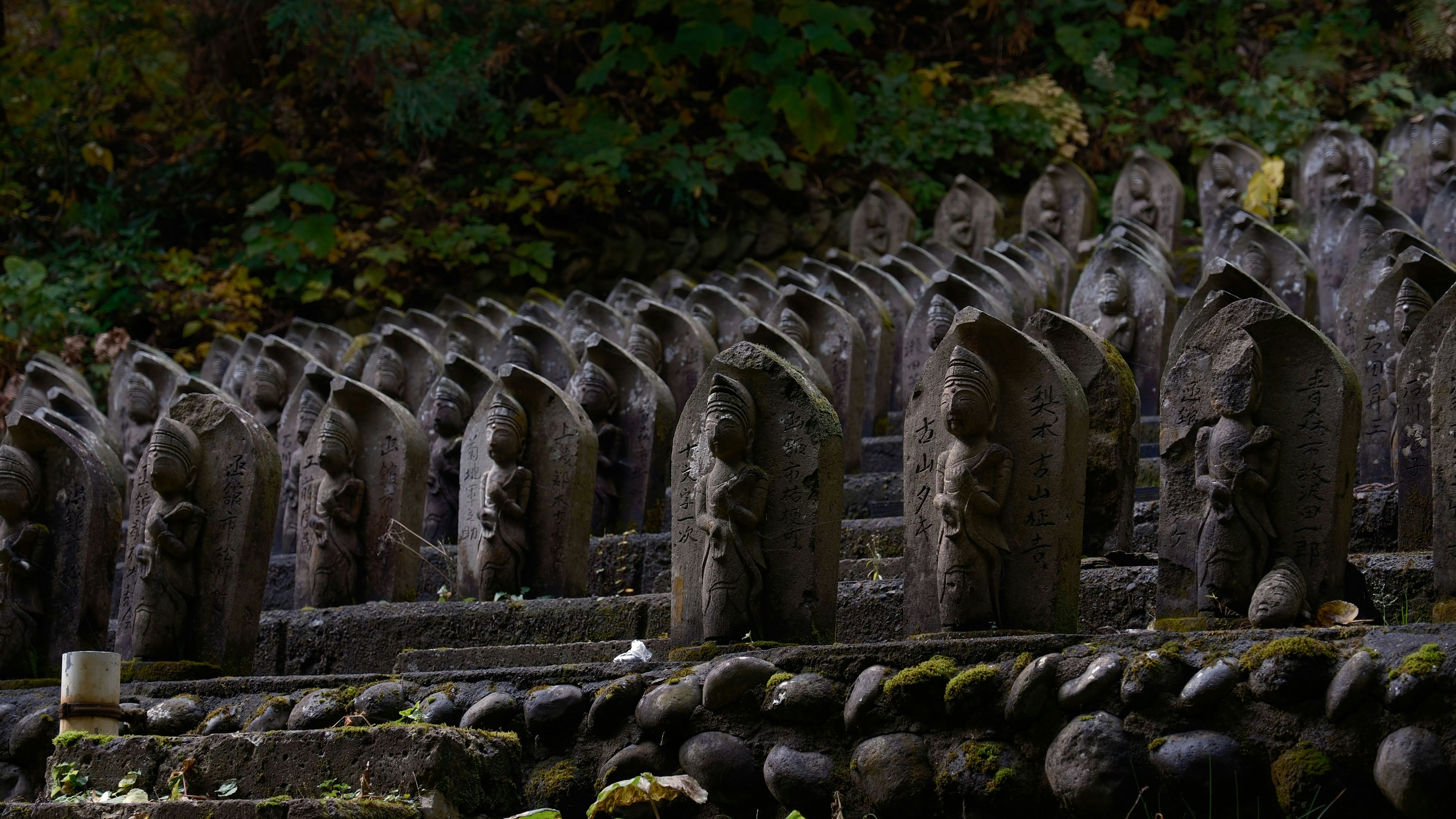 Rows of intricately carved stone statues nestled among lush greenery, symbolizing reverence and history.