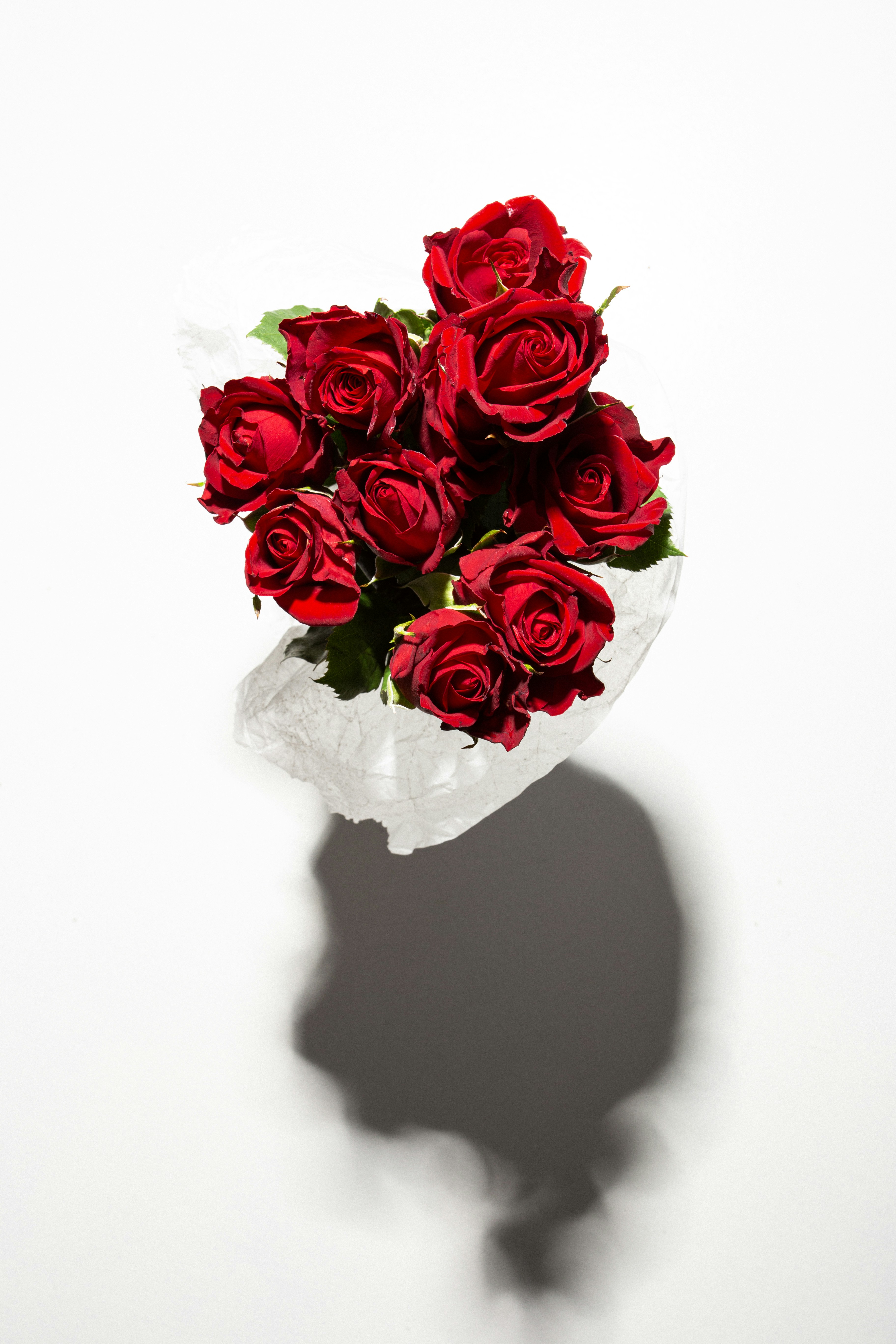 Crimson Roses and the Silent Shadow