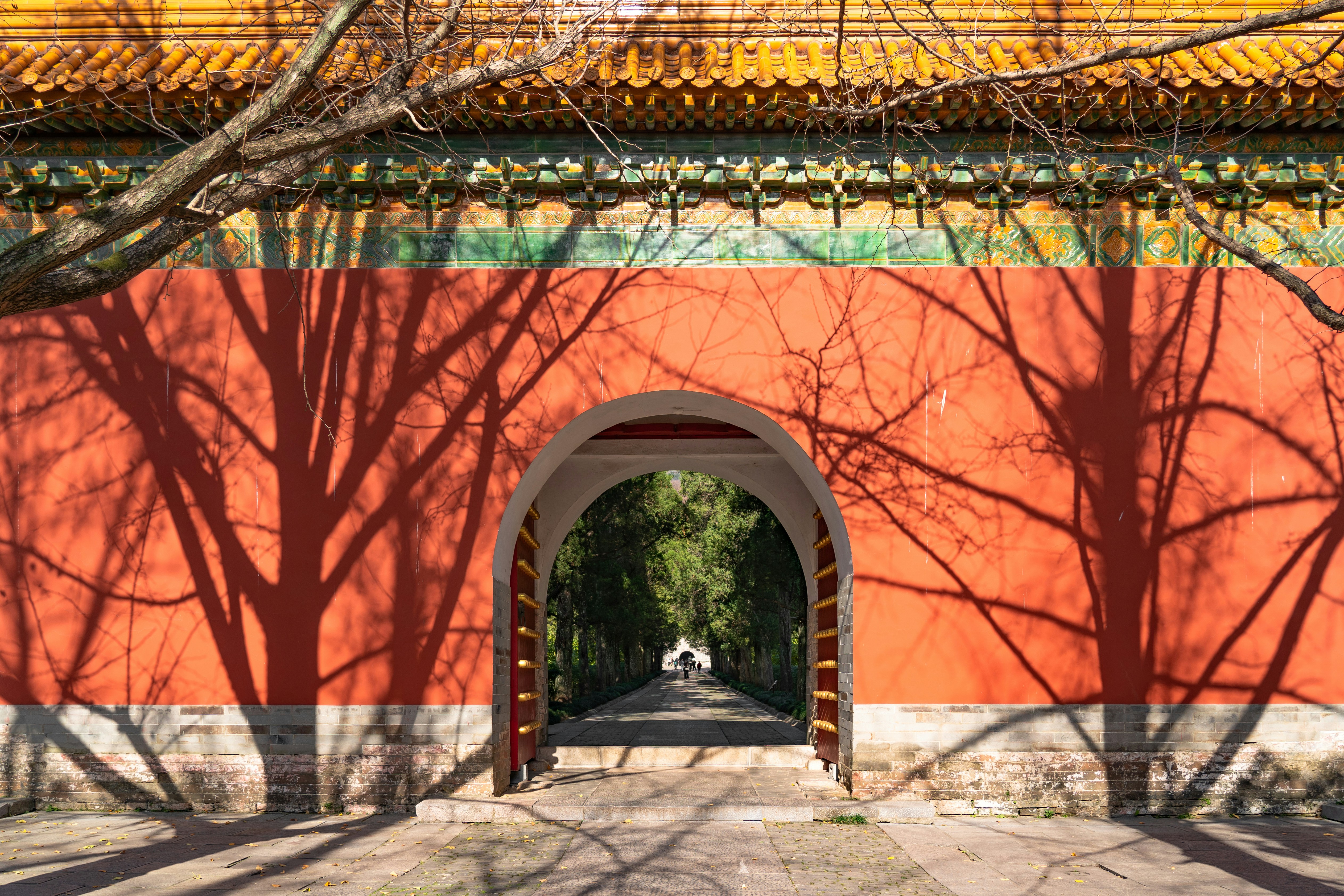 A red and orange building with a tree in front of it photo – Free Arch ...