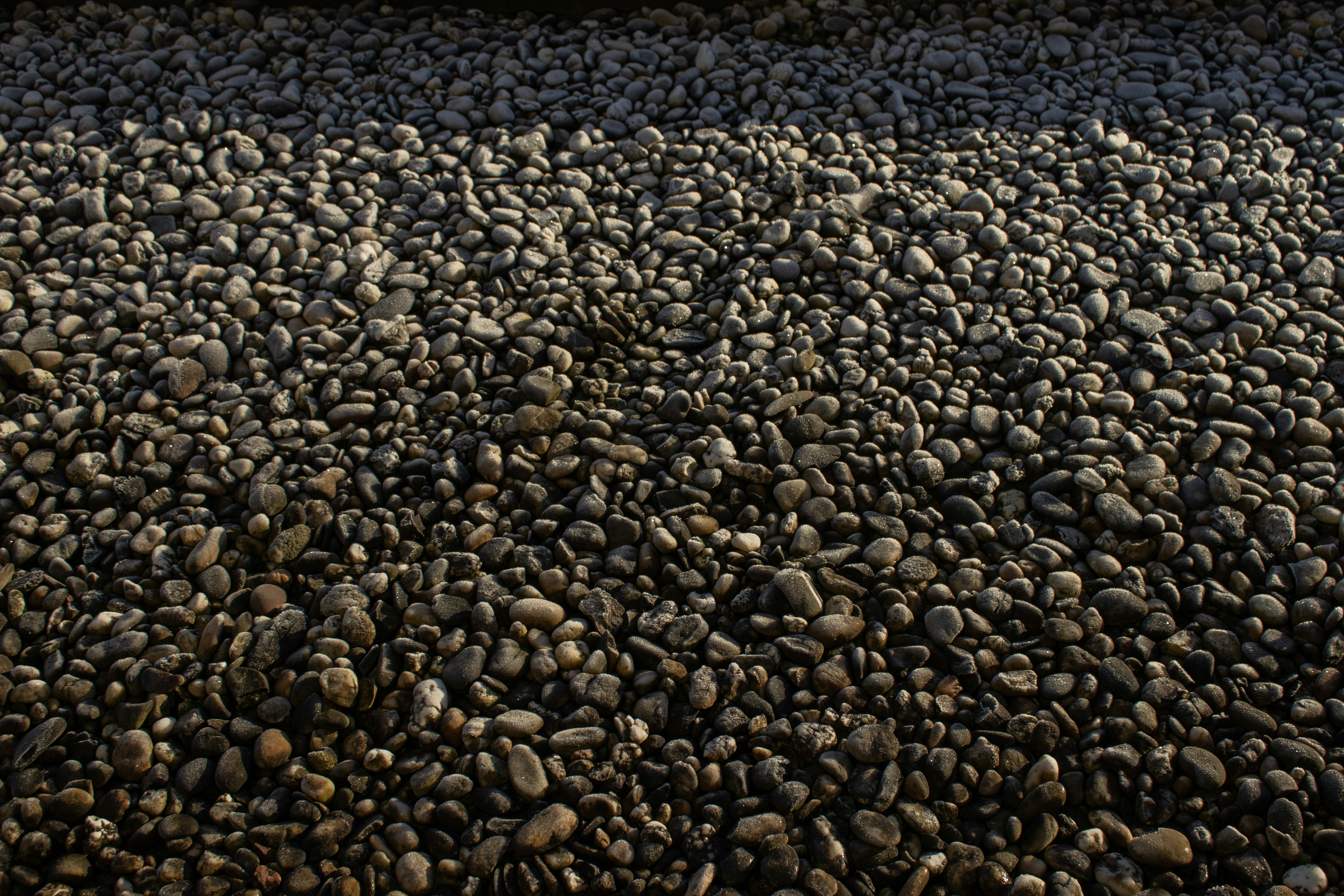 Sunlit Pebble Field: A Textural Study on a Quiet Shore