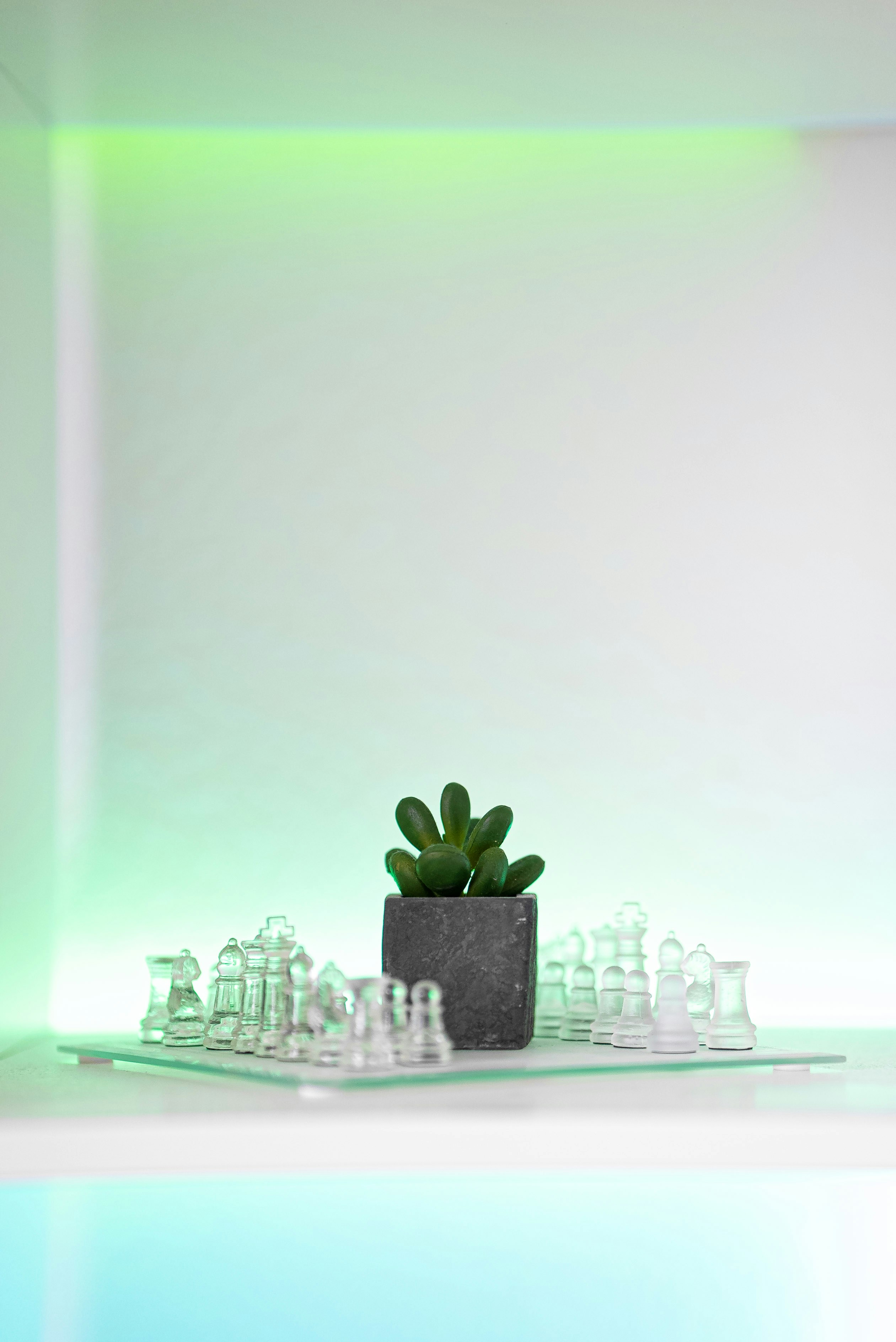A small potted plant sitting on top of a chess board photo – Free Blue ...