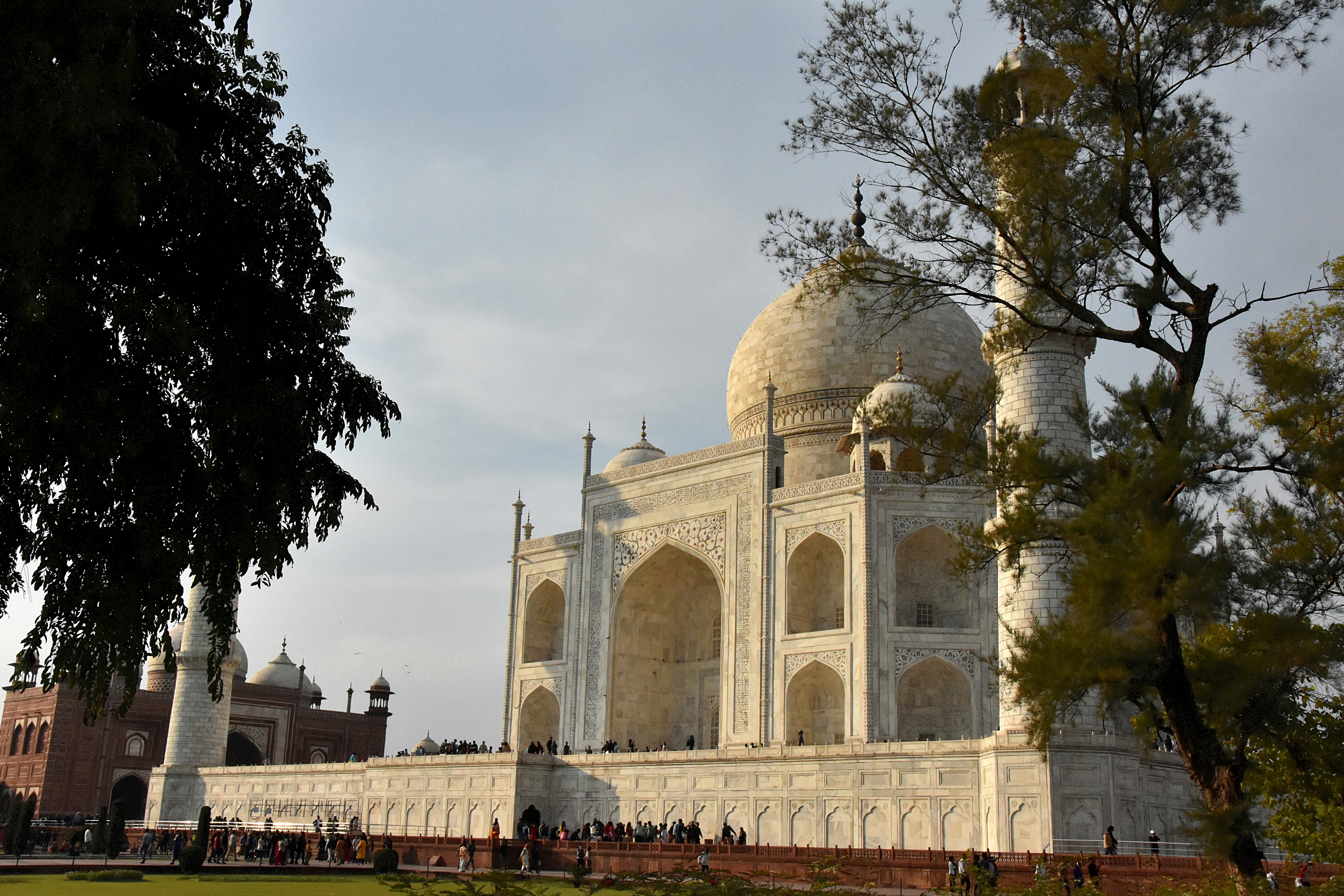Whispers of Marble: The Taj's Timeless Elegance
