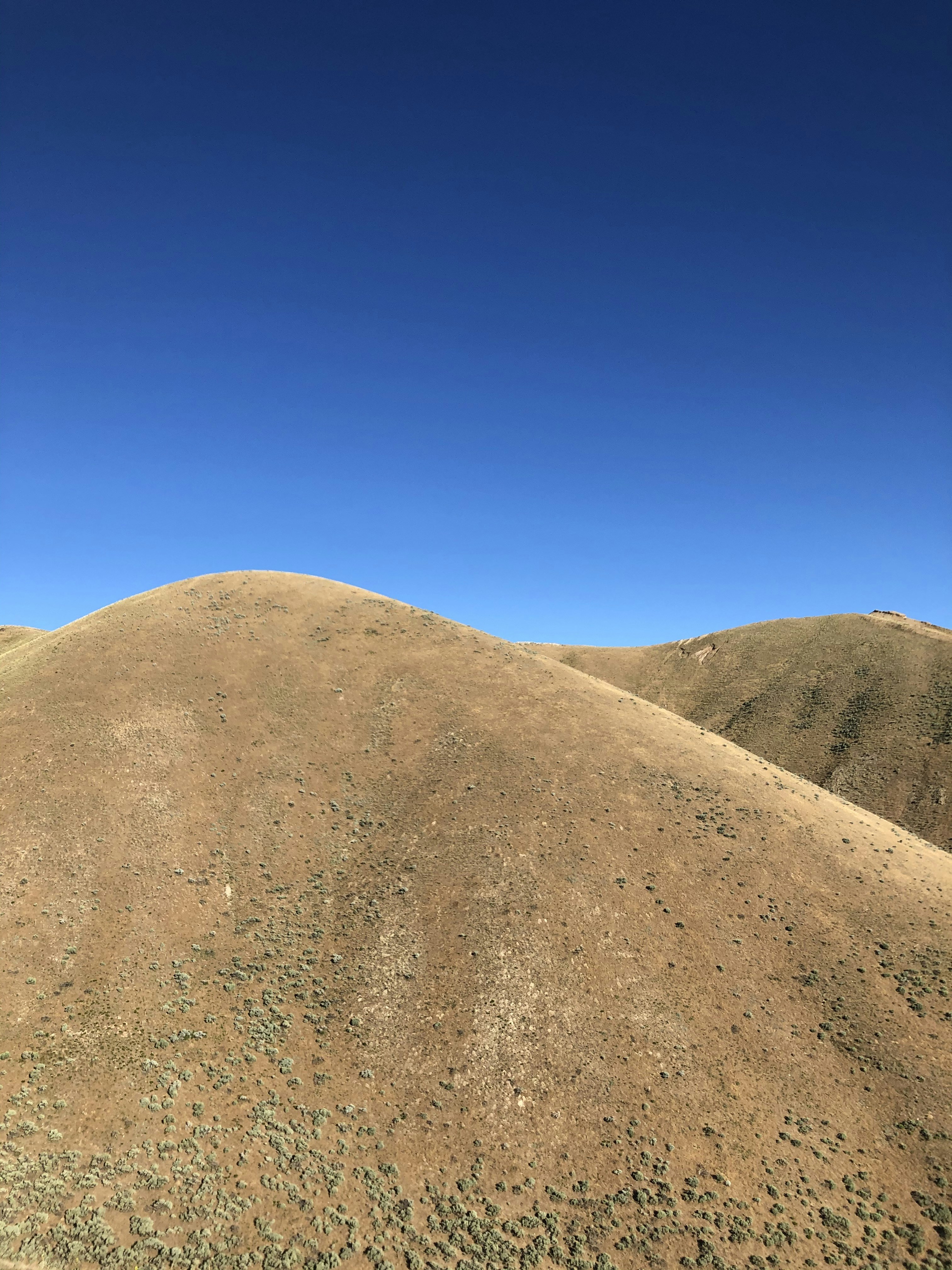 Whispers of the Earth: Rolling Hills Under a Clear Sky