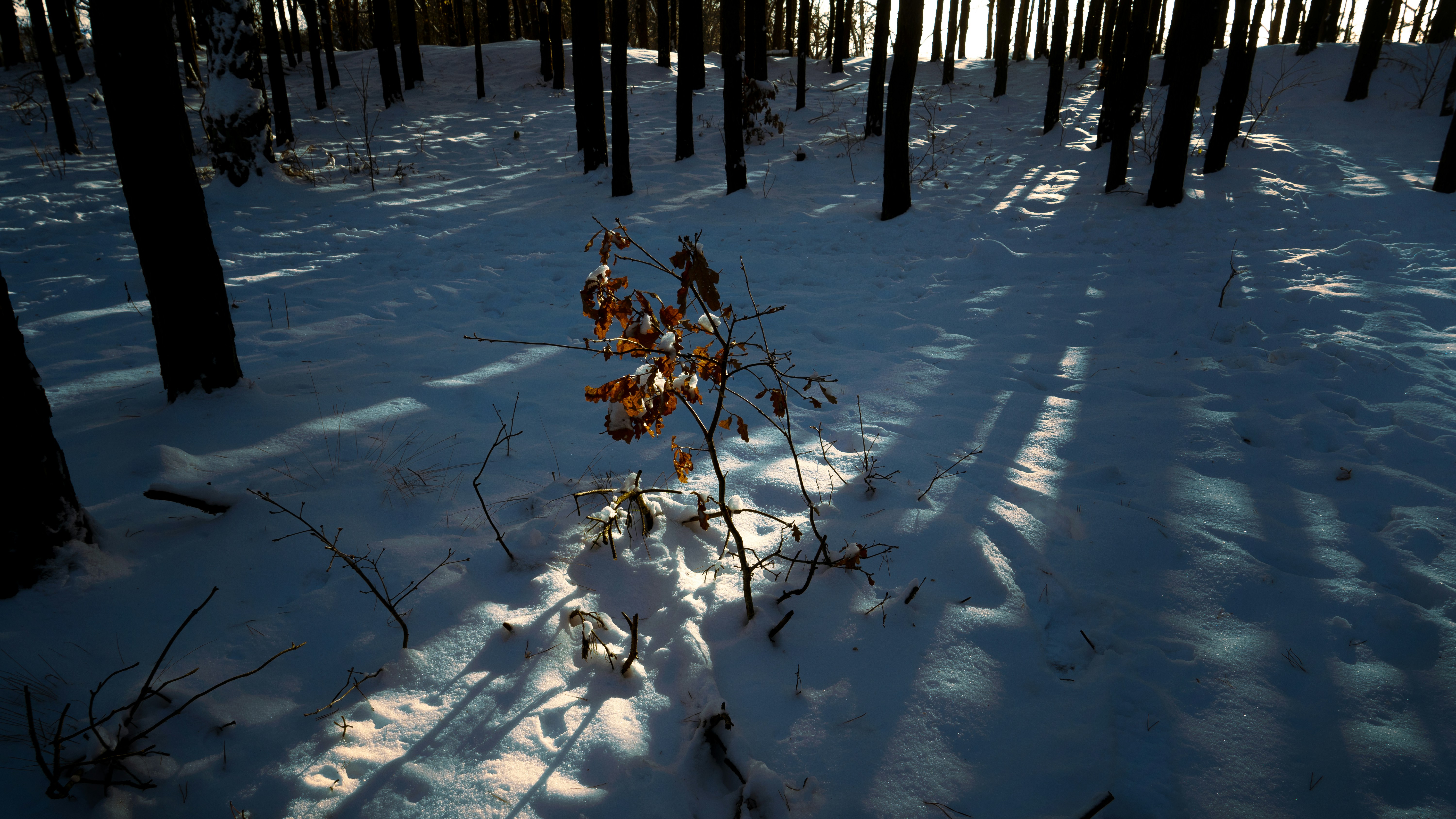Photo by Hubert Buratynski with Sony Alpha 7 III