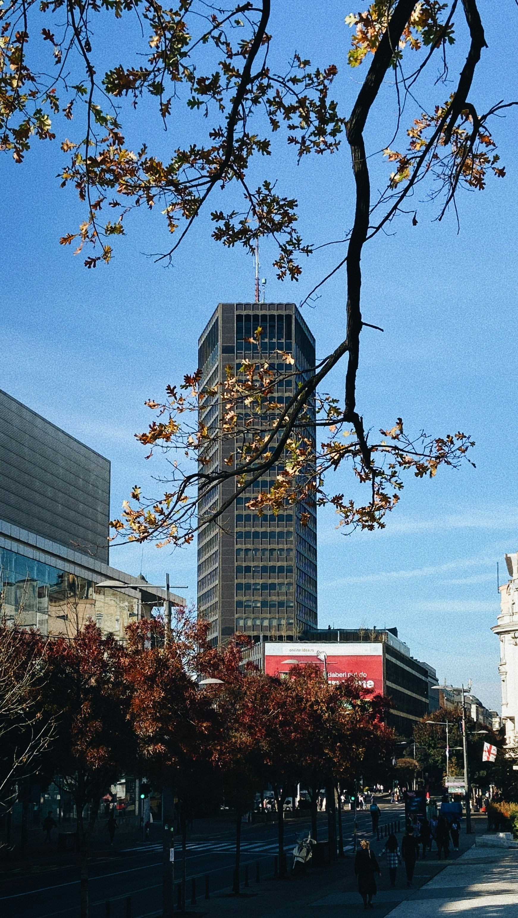 A tall building sitting next to a tree filled street photo – Free Urban ...