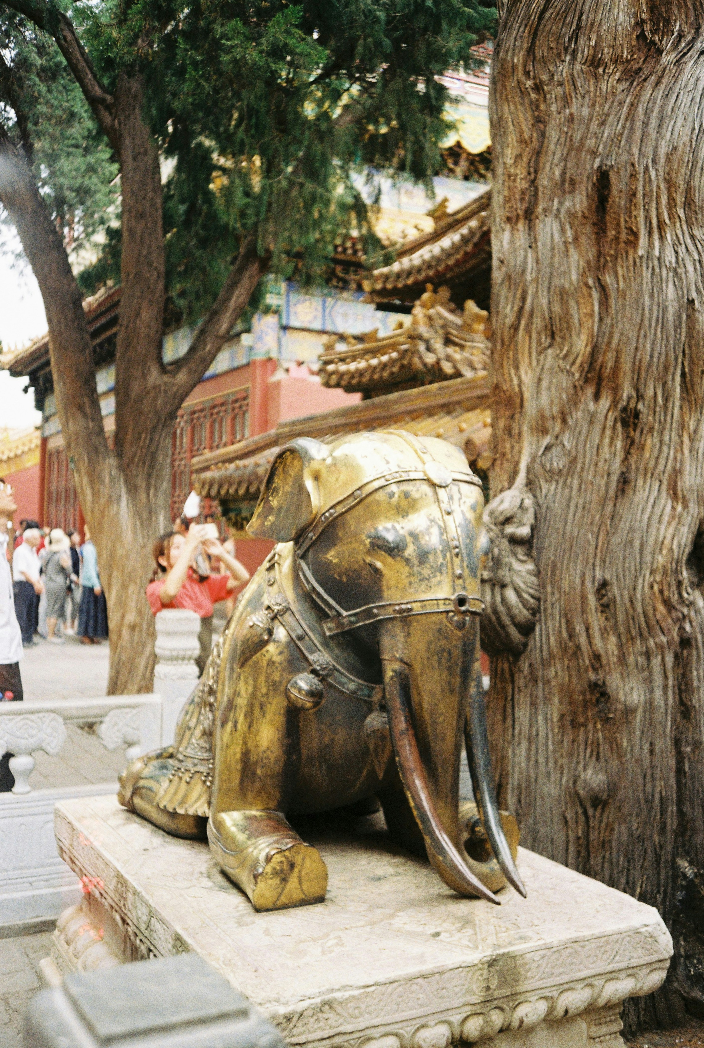 The Sentinel Steed: Bronze Armor in a Temple Courtyard