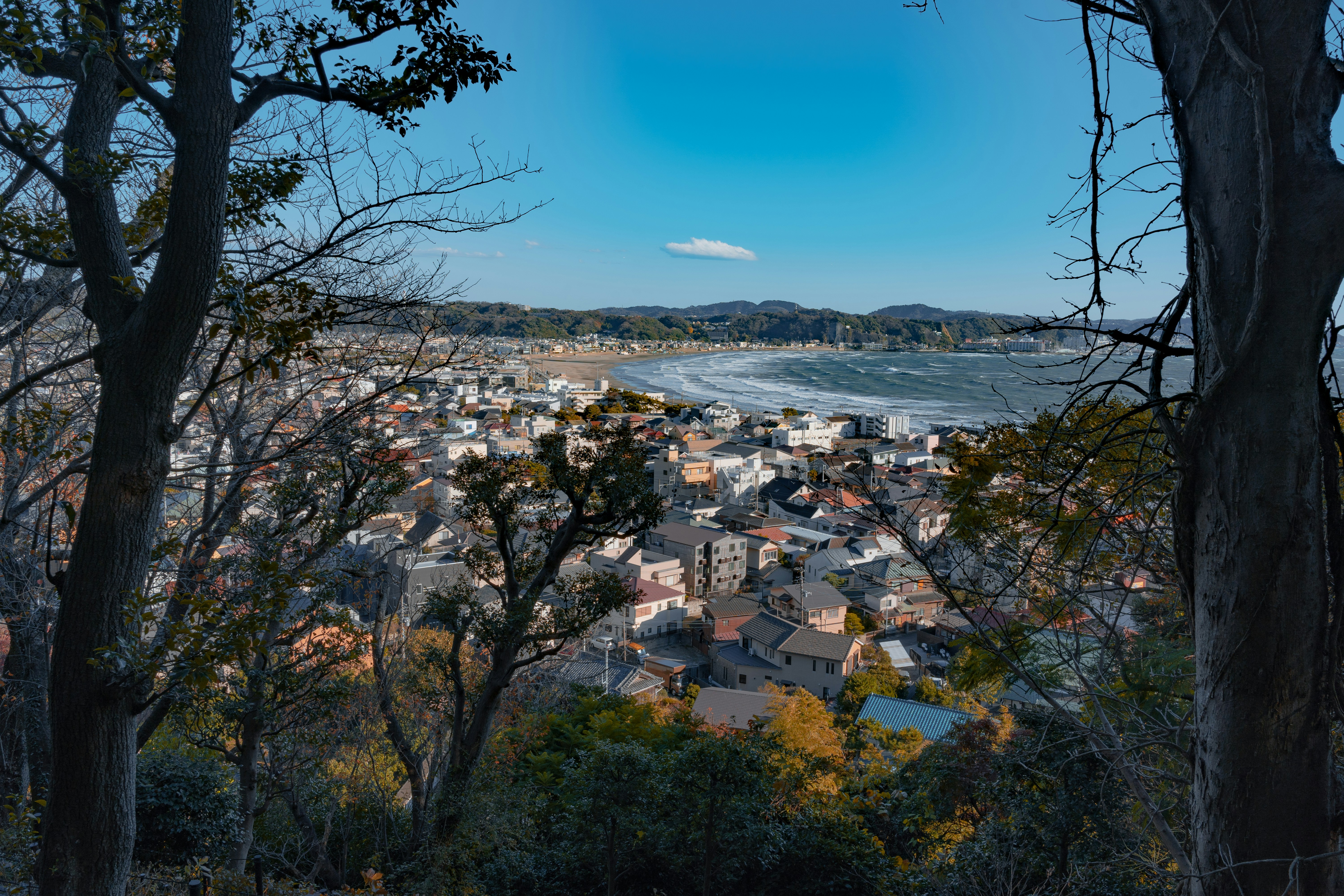 Coastal townscape viewed through tree silhouettes with a calm ocean in the background.