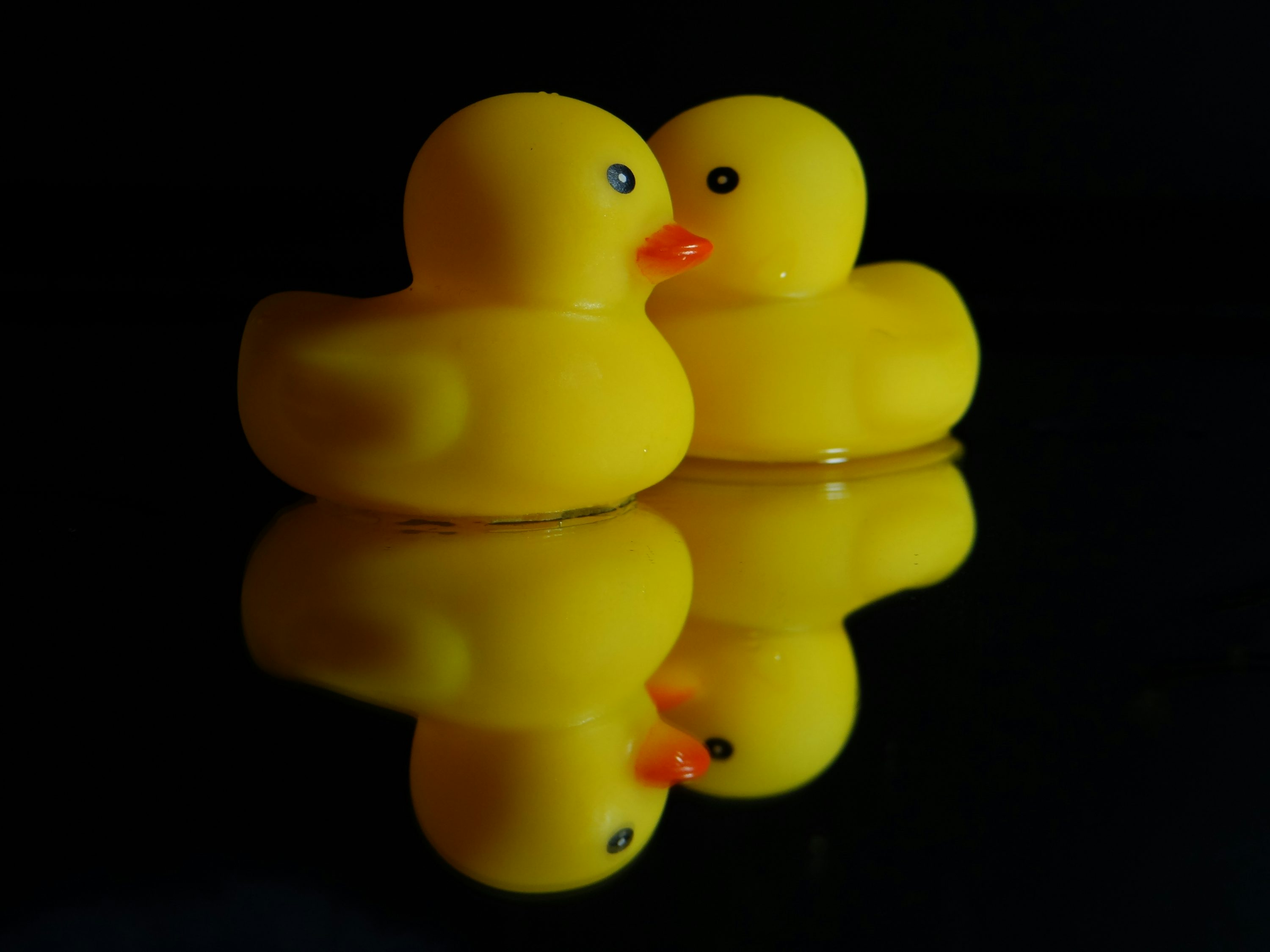 Two yellow rubber ducks sitting next to each other photo – Free Rubber ... Two yellow rubber ducks sitting next to each other photo – Free Rubber ...