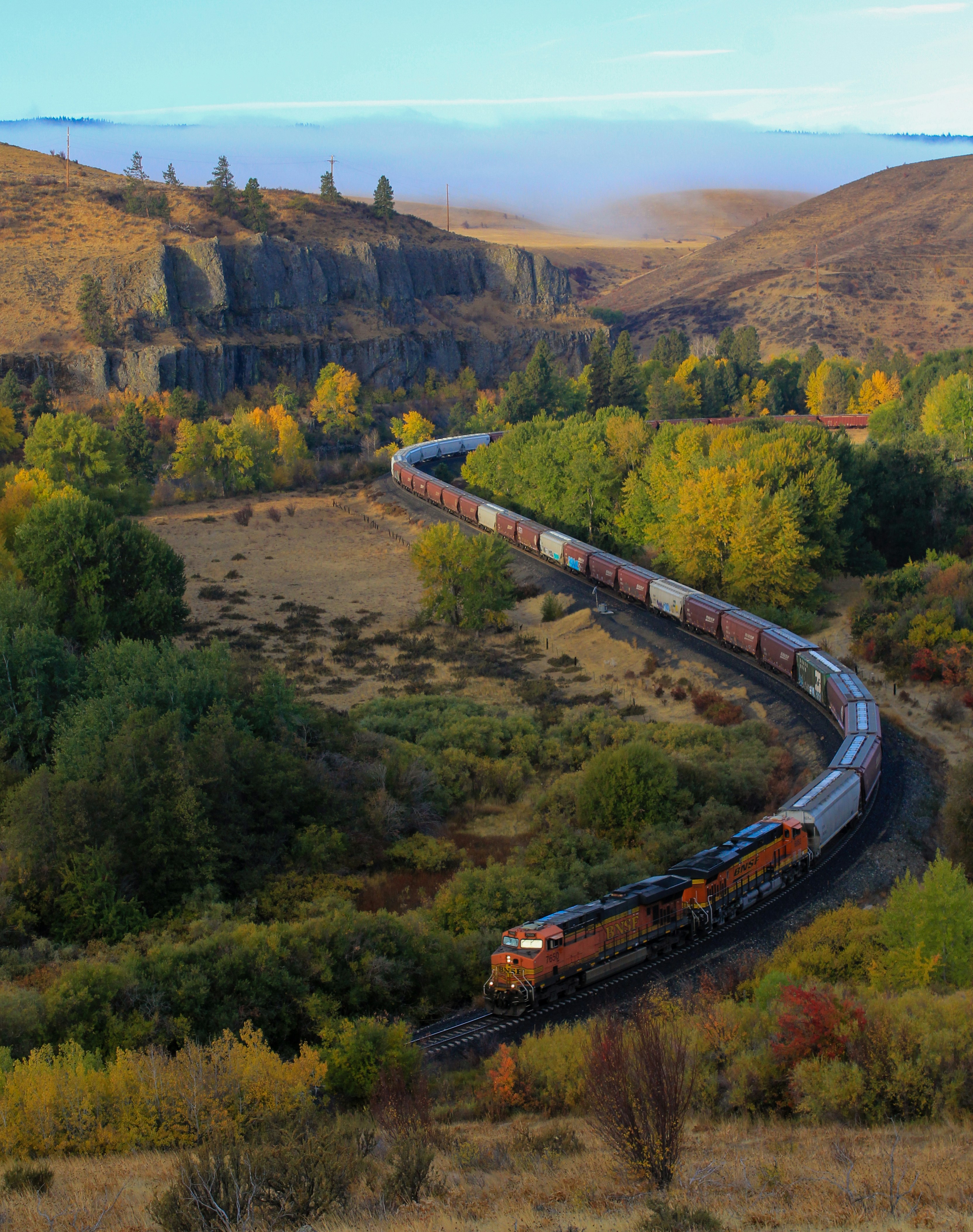 A train traveling through a lush green countryside photo – Free Land ...